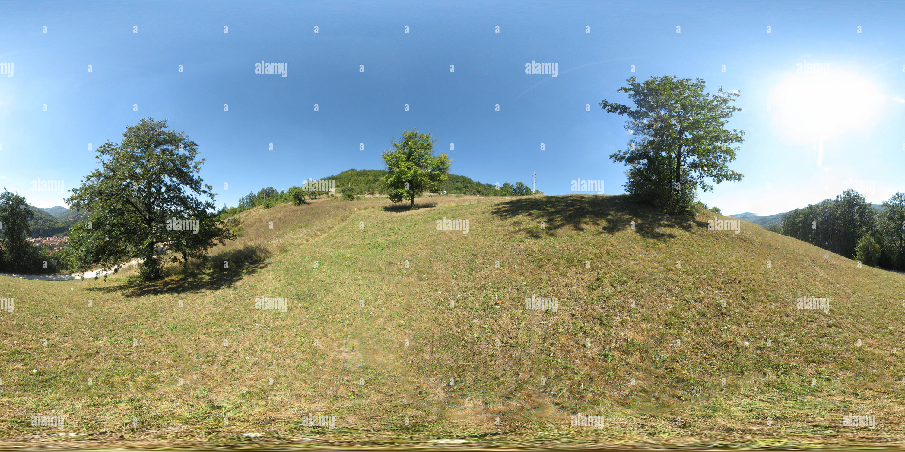 360° view of Ivanjica - Meadow with Three Trees - Alamy