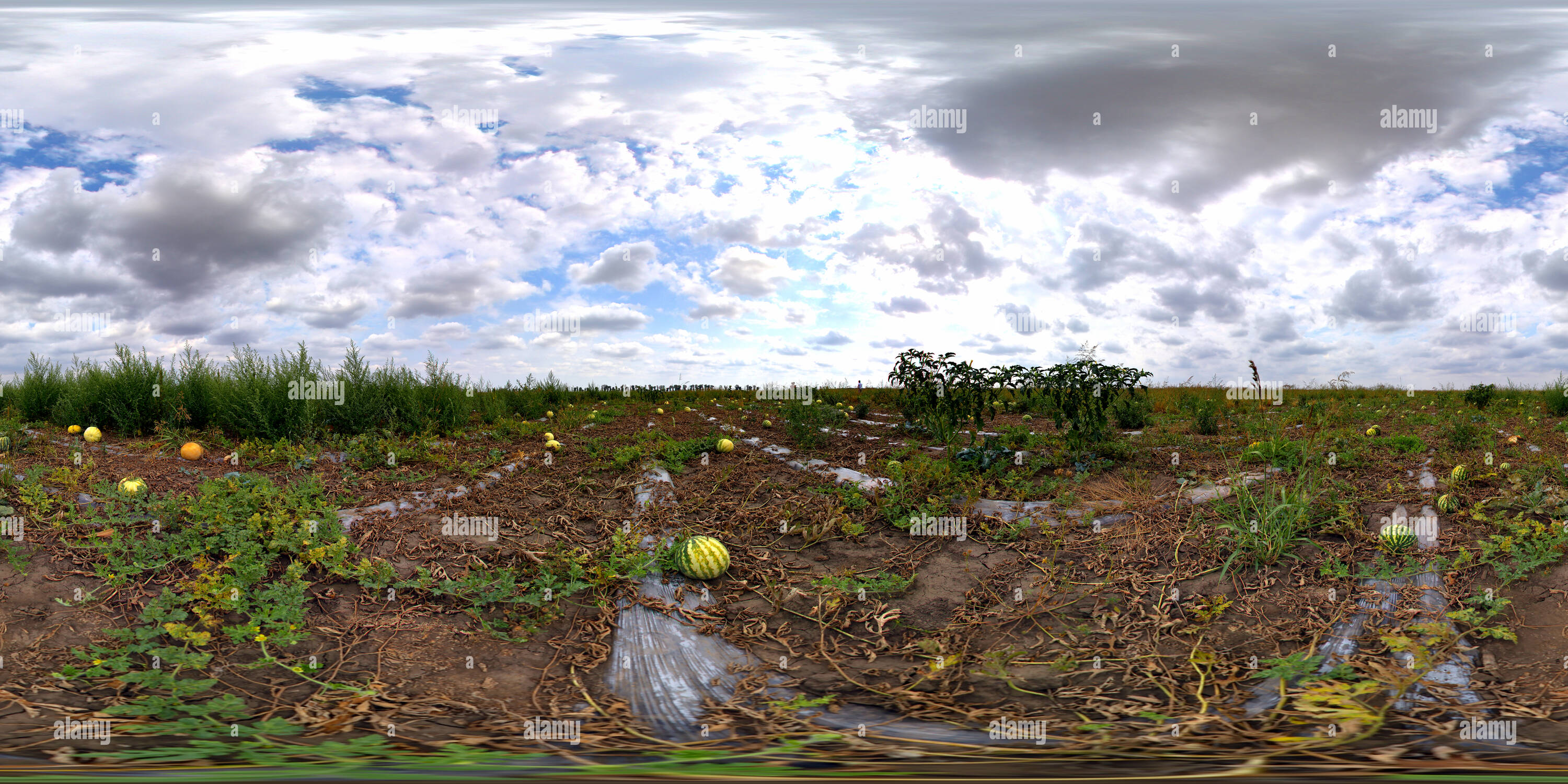 Slobozia hi-res stock photography and images - Alamy