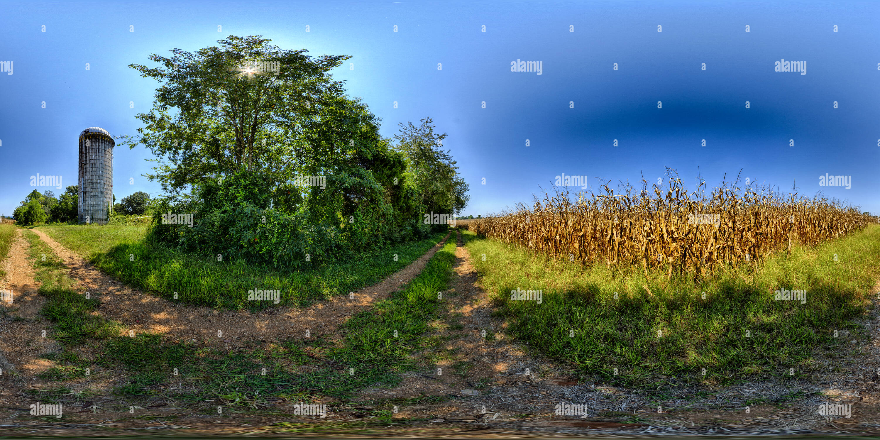 360° view of Silo and corn field north of Huntsville, Alabama - Alamy