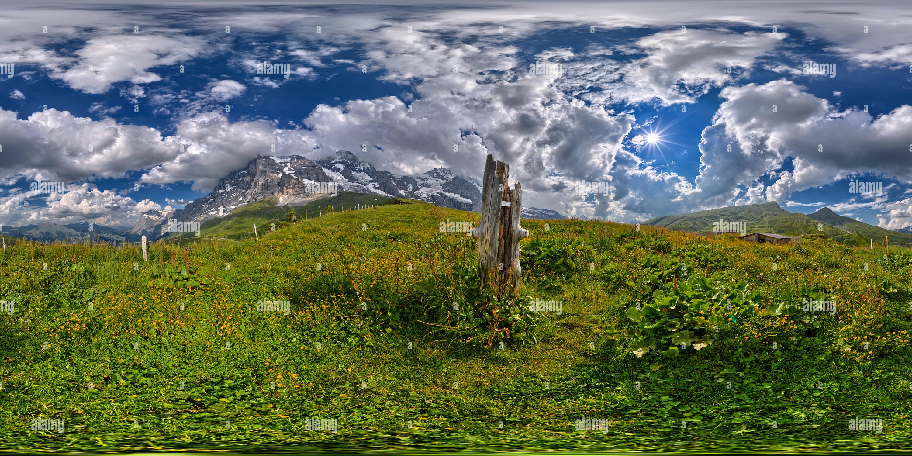 360° view of Rip Tony and Andy - Alamy