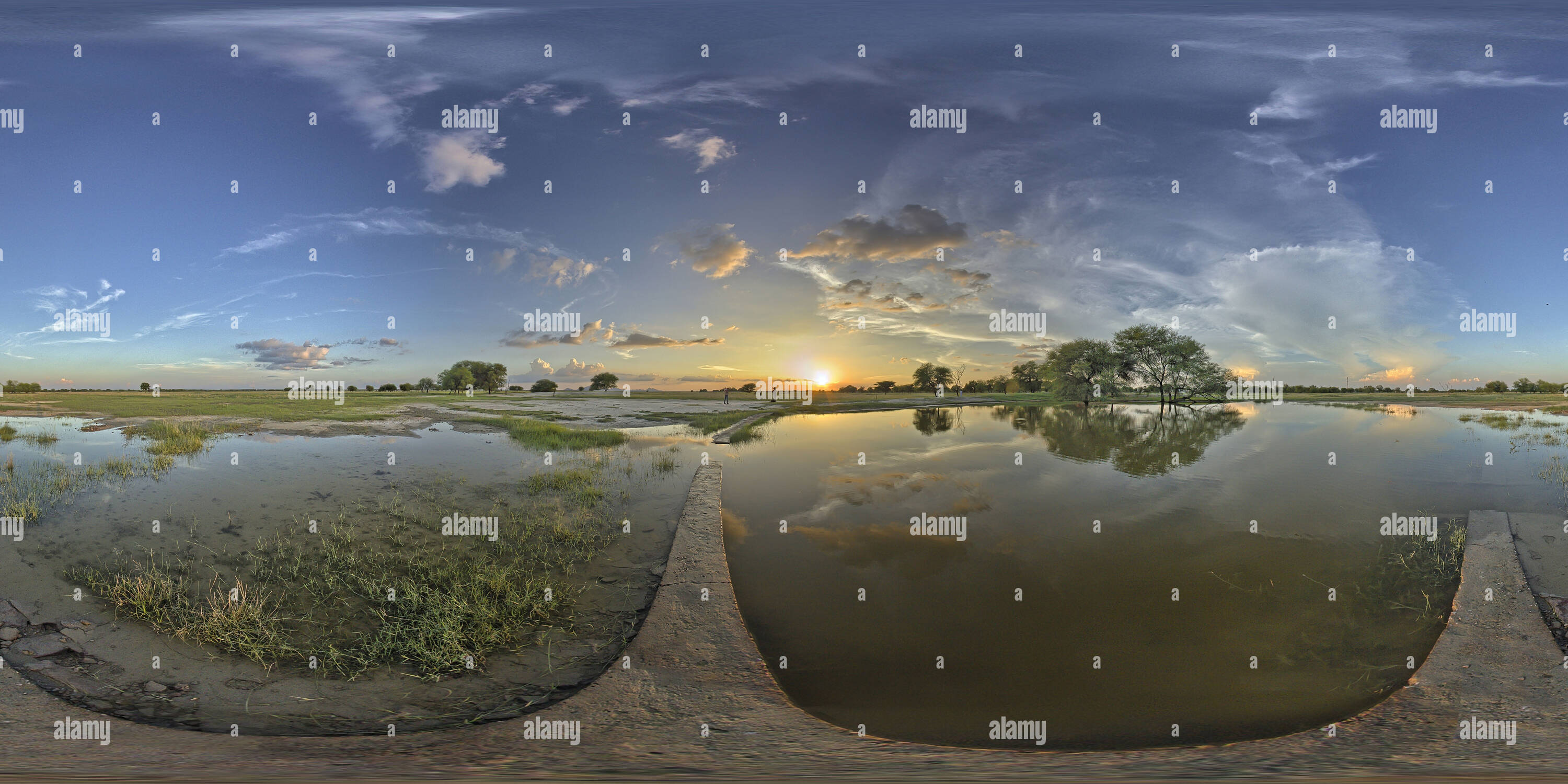 Tal chhapar hi-res stock photography and images - Alamy