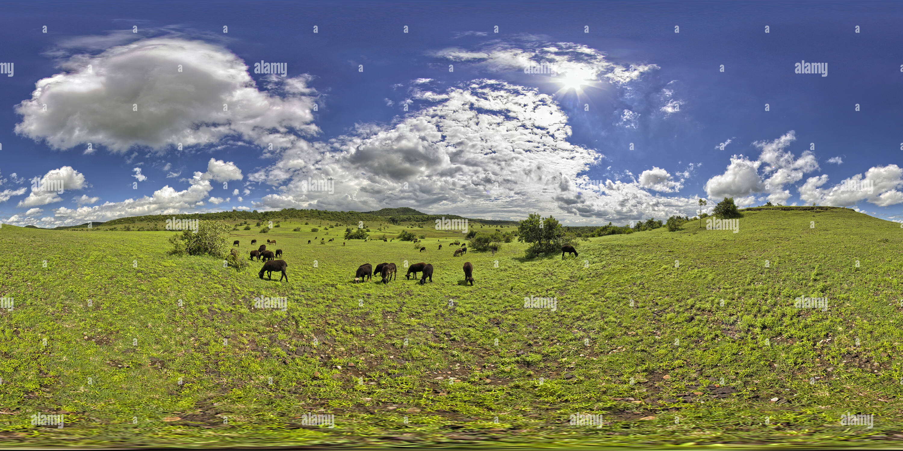 Ananthagiri hills hi-res stock photography and images - Alamy