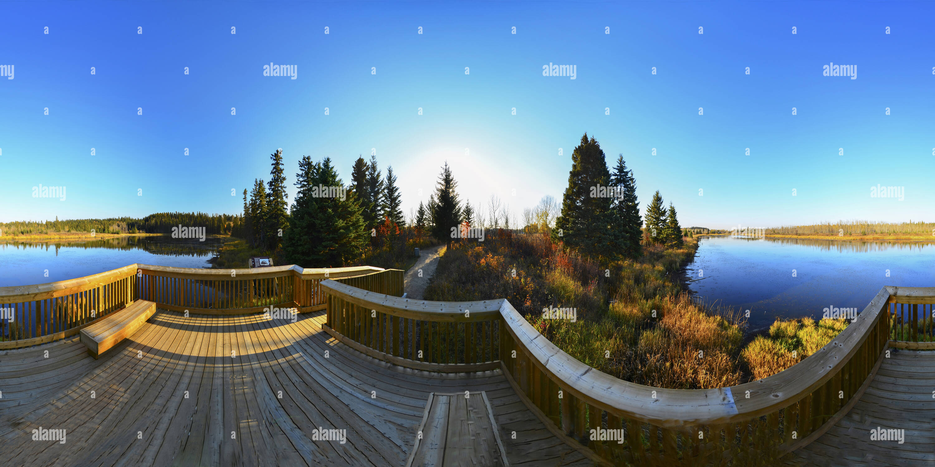 360° view of Gaetz Lake Observation Platform - Alamy