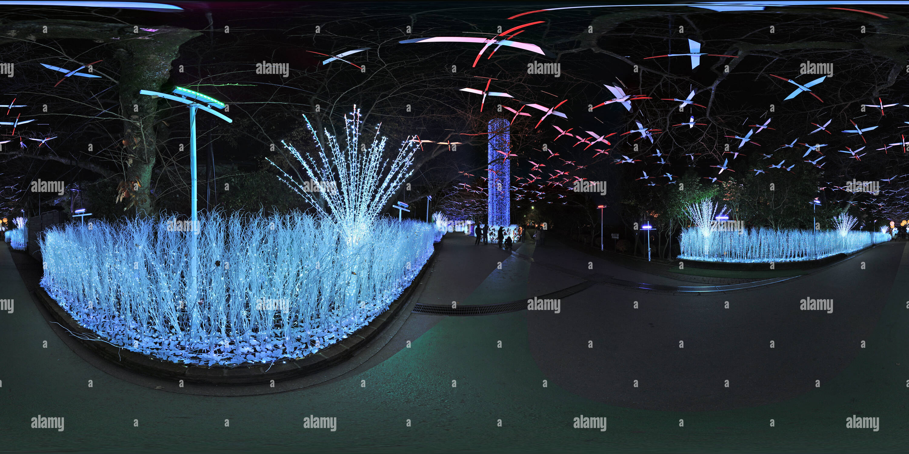 Sumika hi-res stock photography and images - Alamy