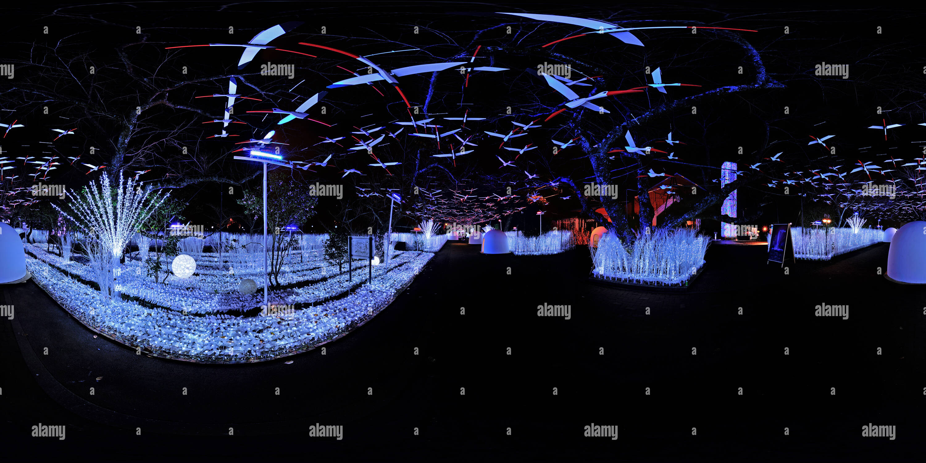 Sumika hi-res stock photography and images - Alamy