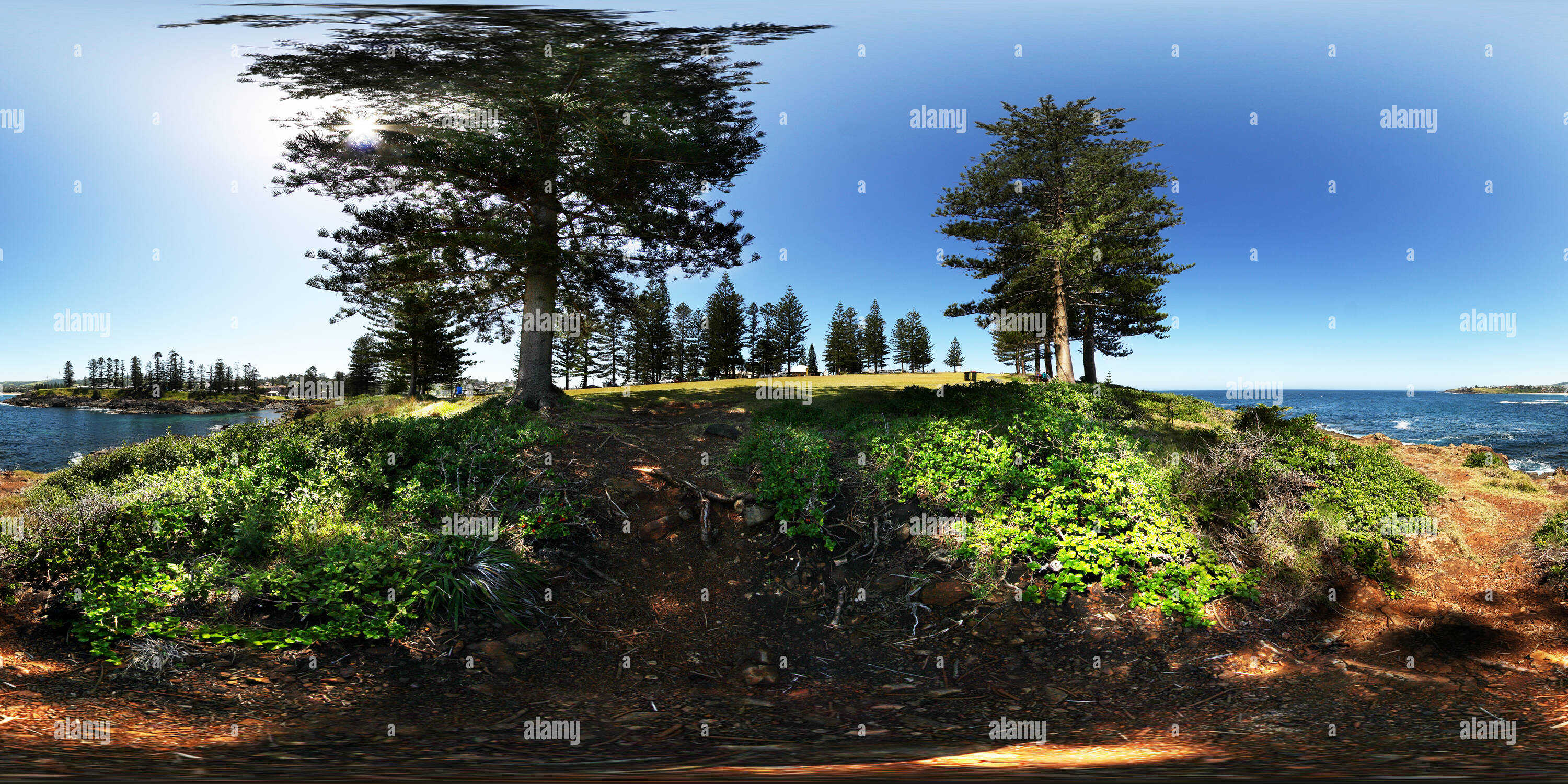 360° view of The Pine Trees at Kiama - Alamy
