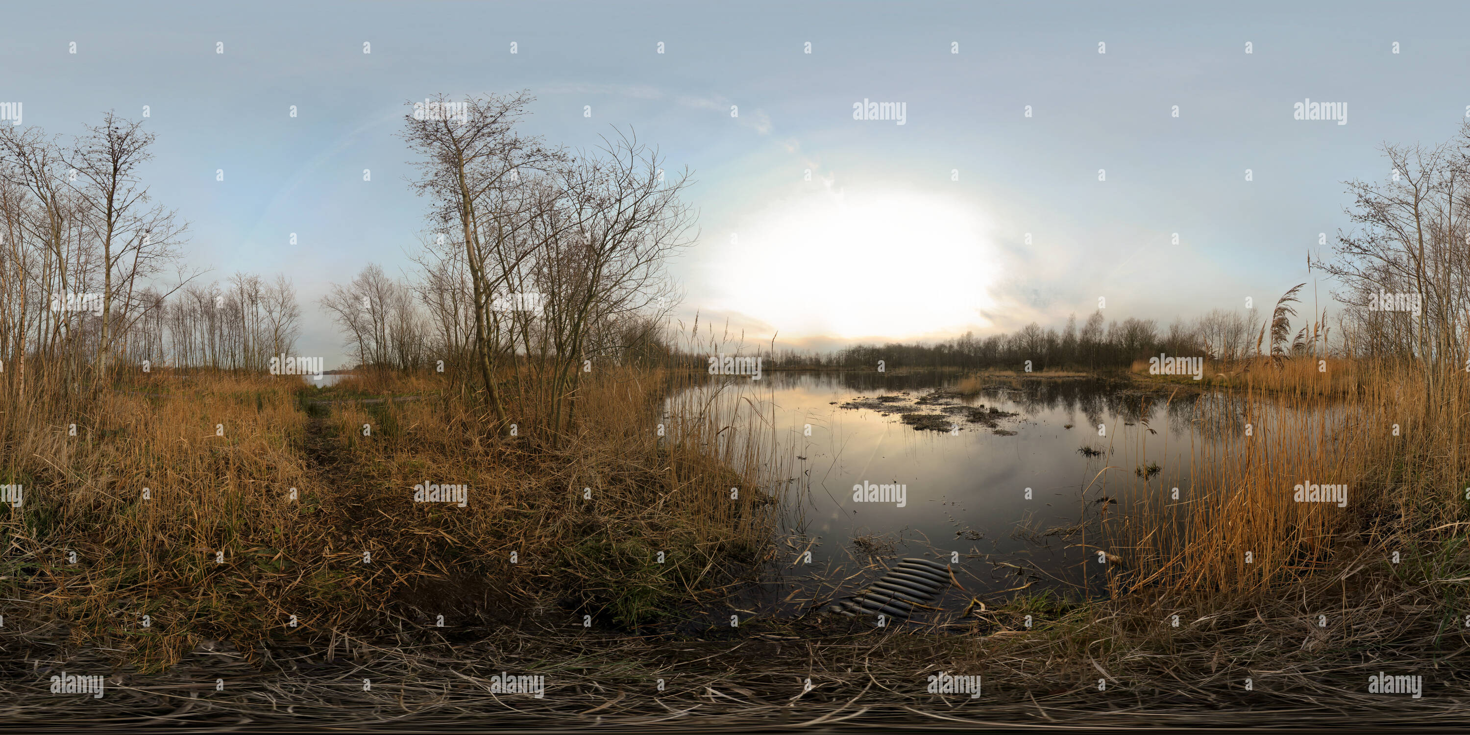 De groene ster hi-res stock photography and images - Alamy