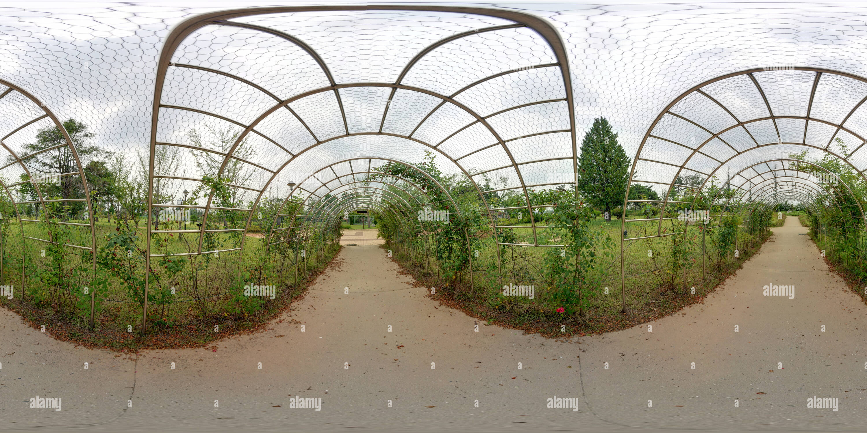 360° view of The rose arch - Alamy