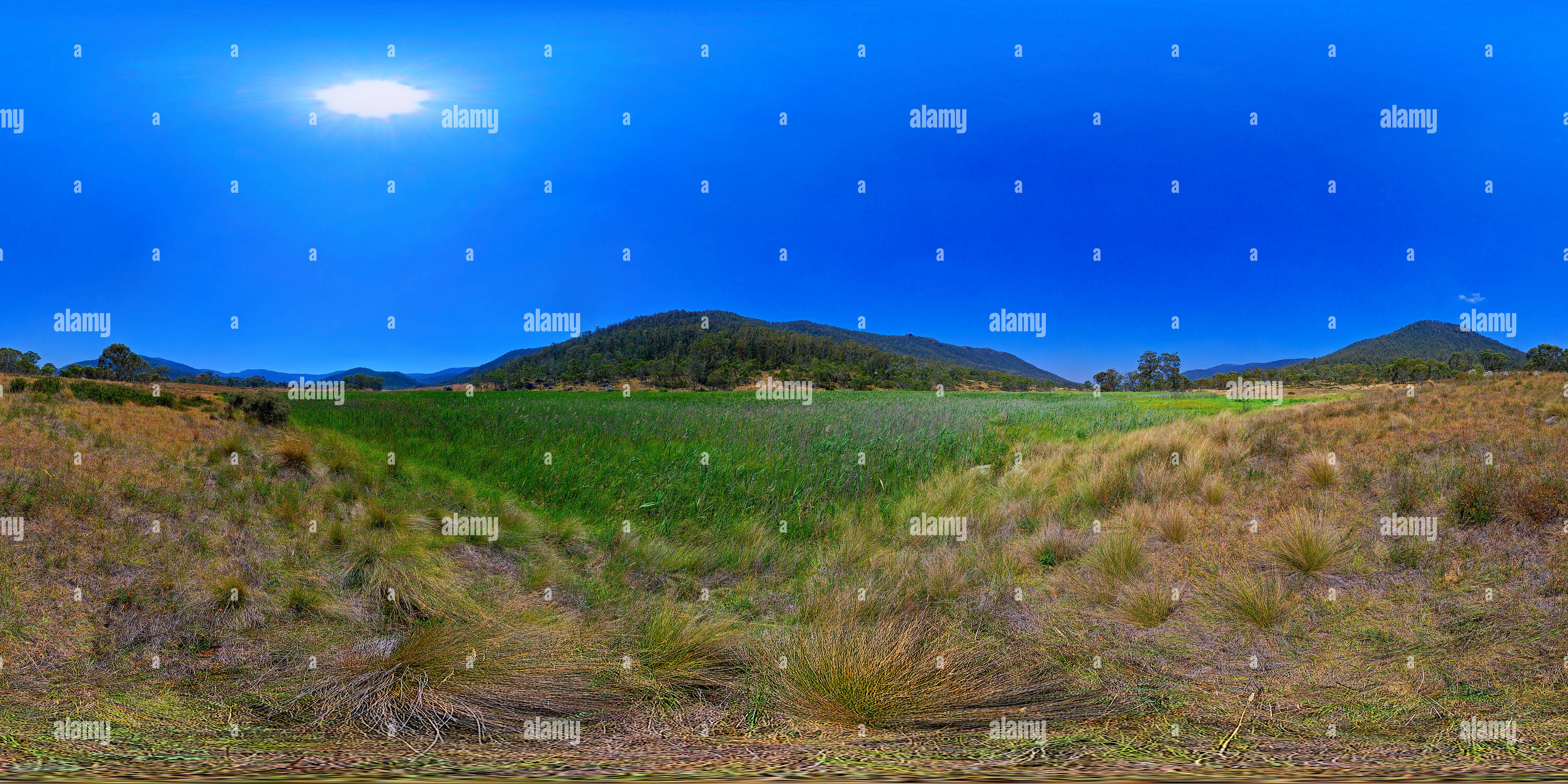360° view of Namadgi National Park - Orroral River Reeds 1 - Alamy