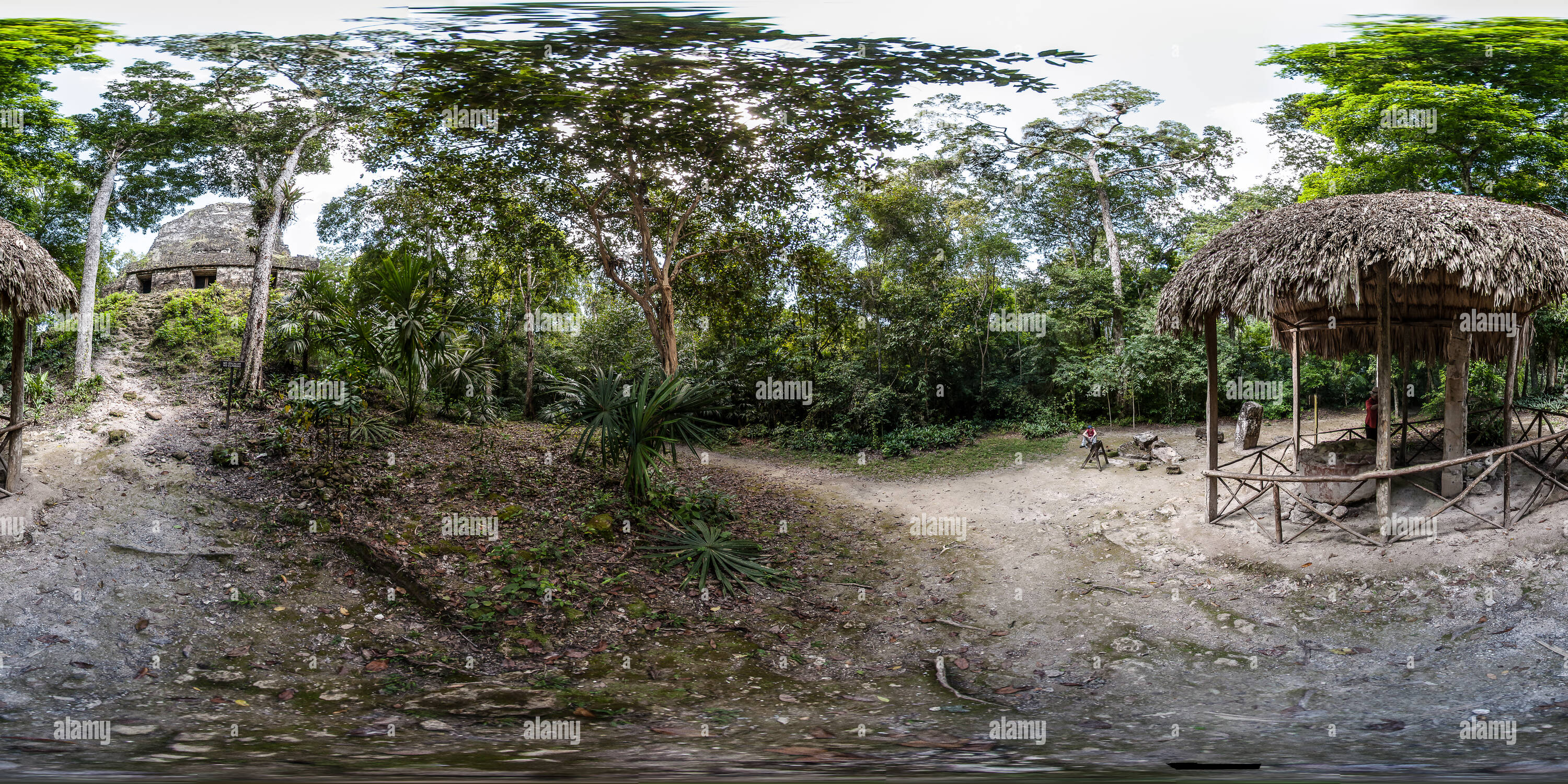 360° view of Tikal: Temple 6, The Temple of the Inscriptions - Alamy