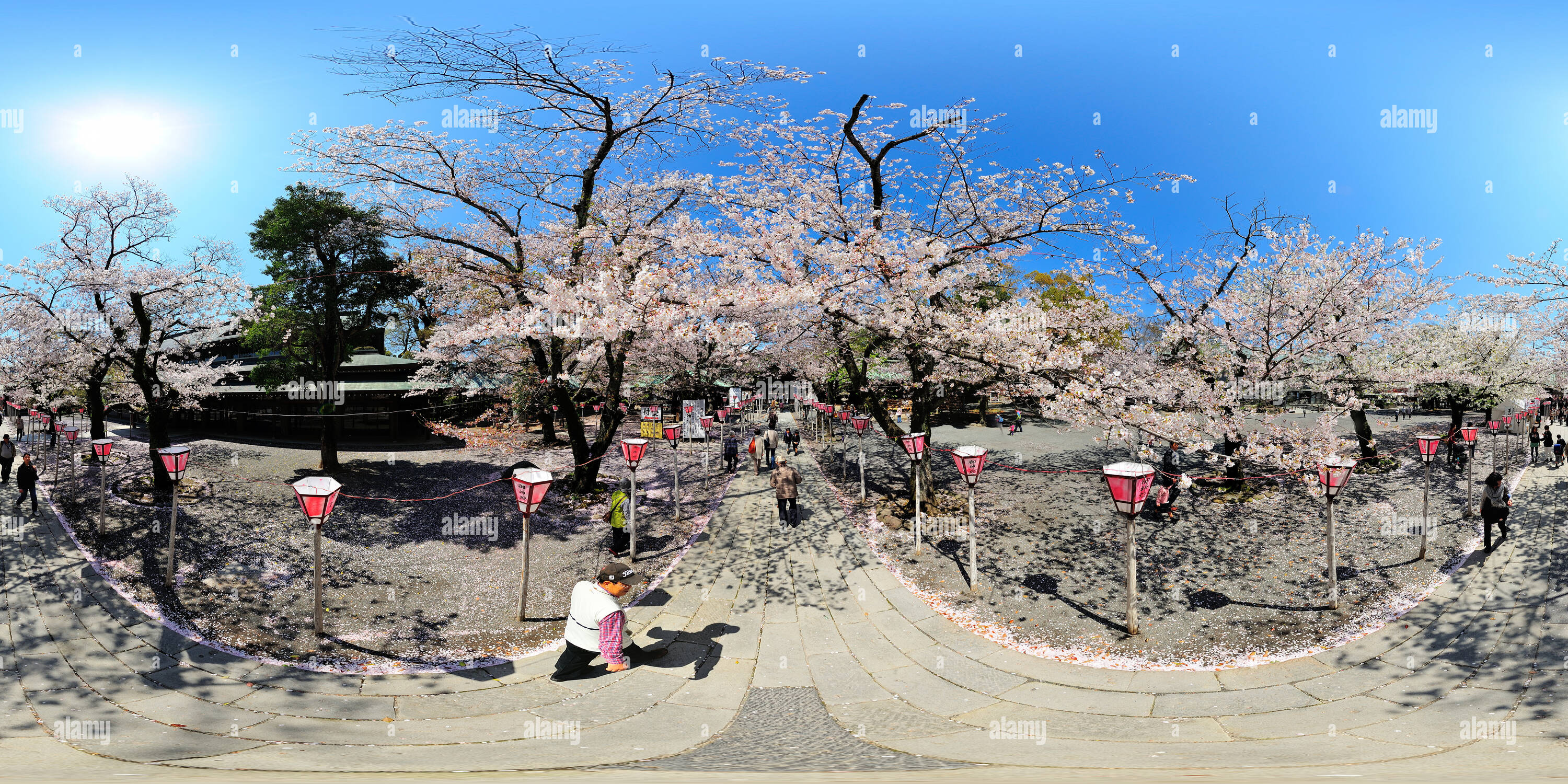 Mishima taisha hi-res stock photography and images - Alamy