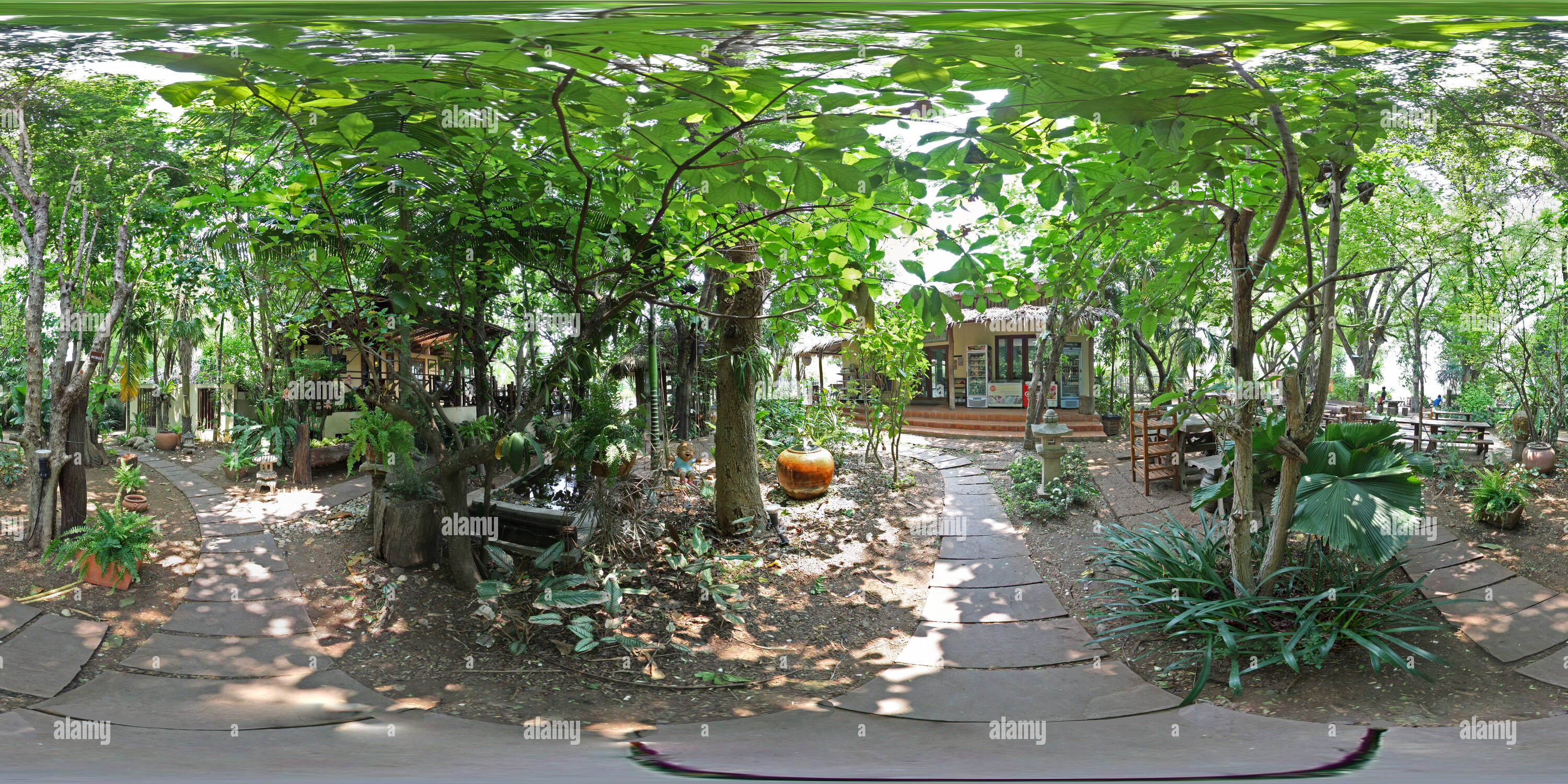 Lamnarai hi-res stock photography and images - Alamy