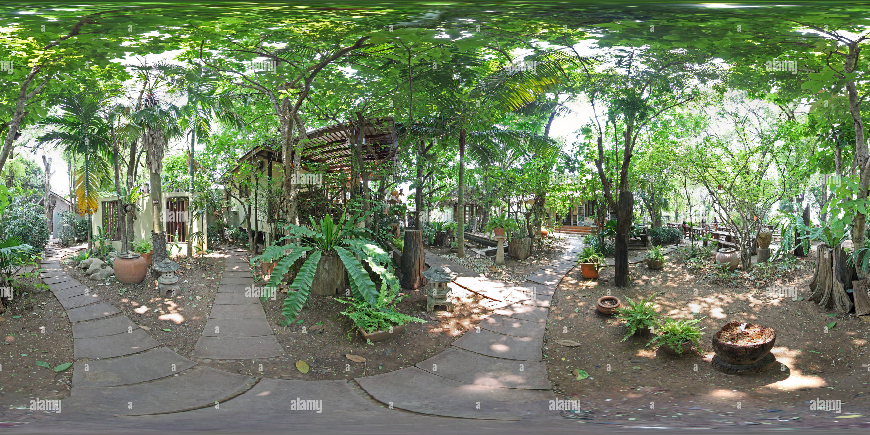 Lamnarai hi-res stock photography and images - Alamy