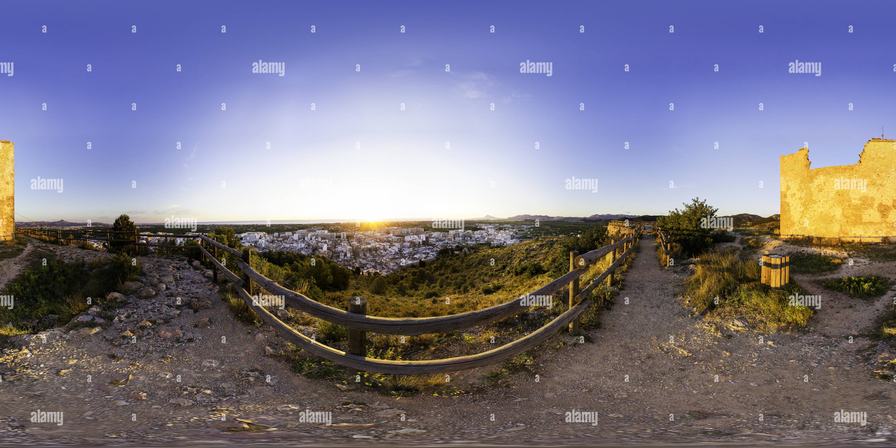 Oliva valencia hi-res stock photography and images - Alamy