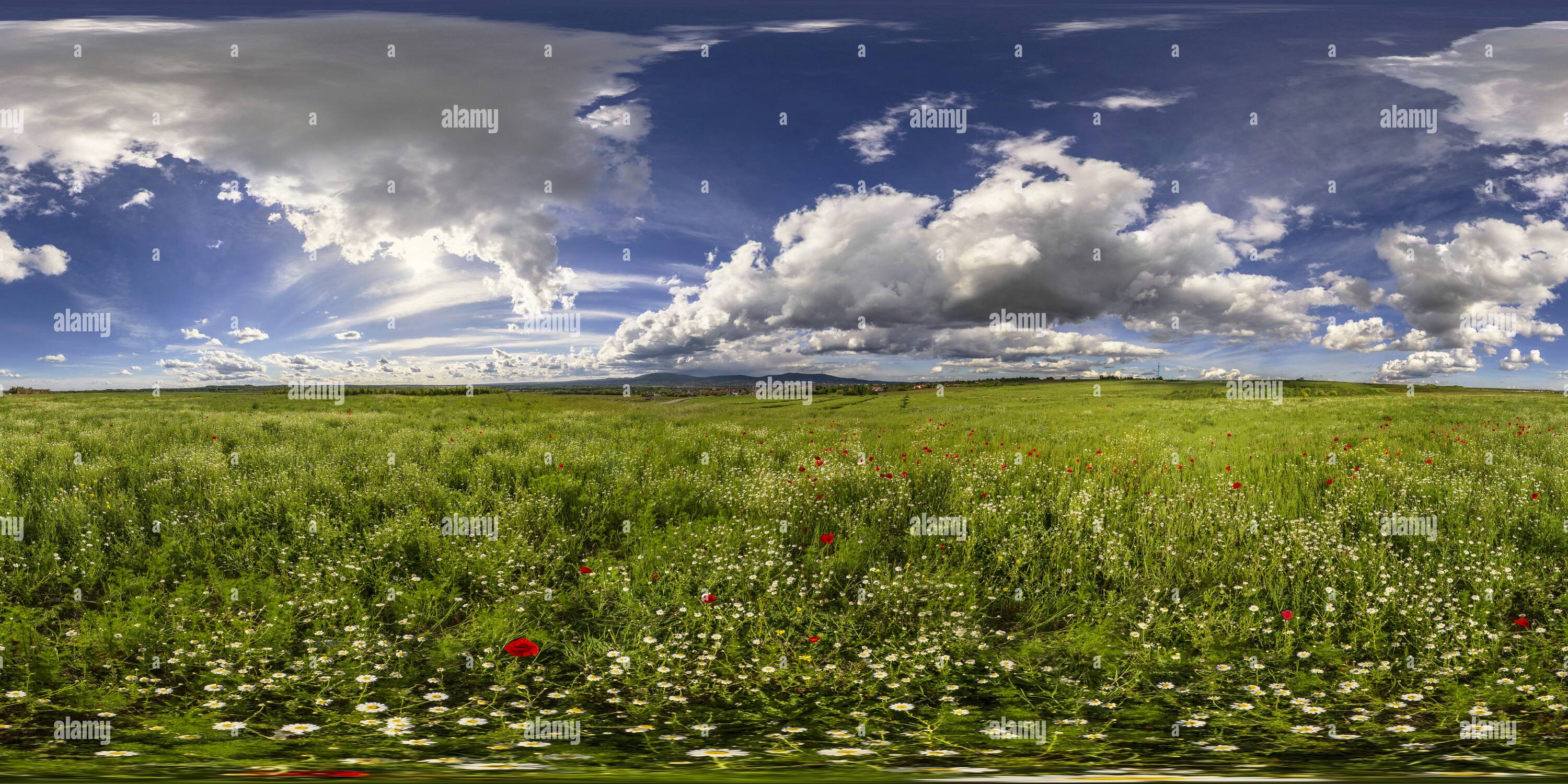 360° view of View of the Mecsek from field dotted with poppy - Alamy