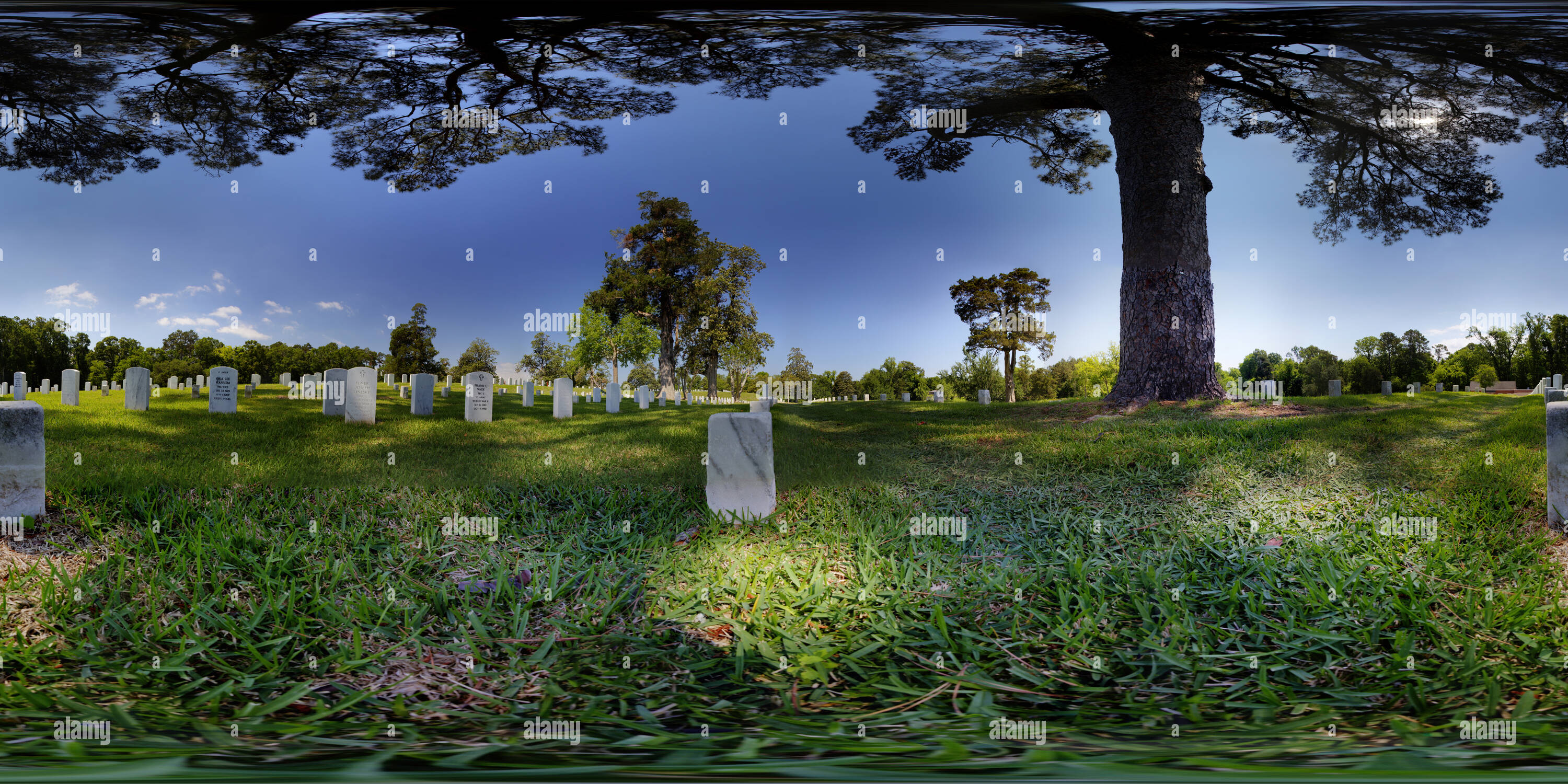 360° view of Natchez National Cemetery - under the large pine - Alamy