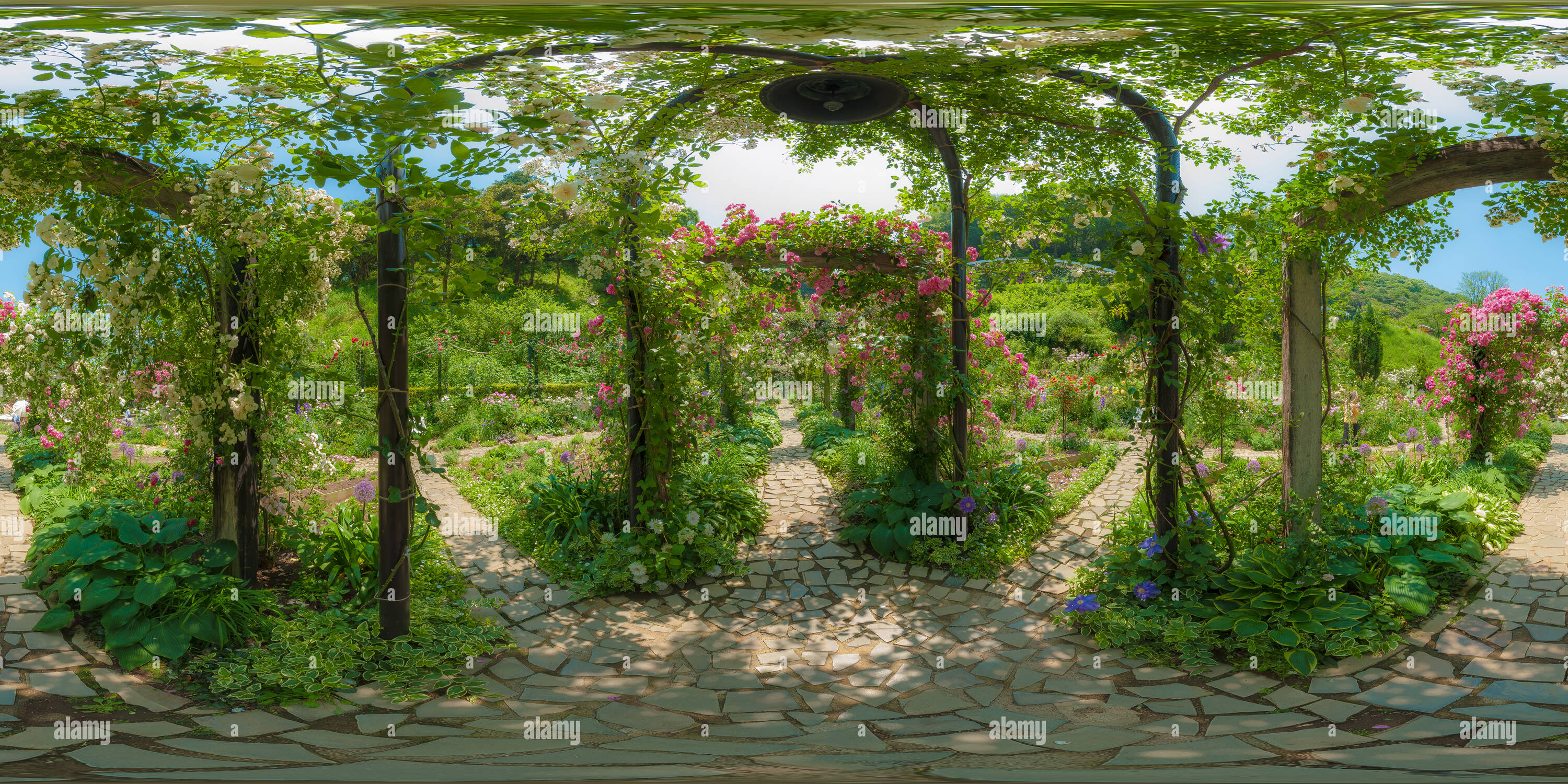 360° view of Akao herb and rose garden Part.1 - Alamy