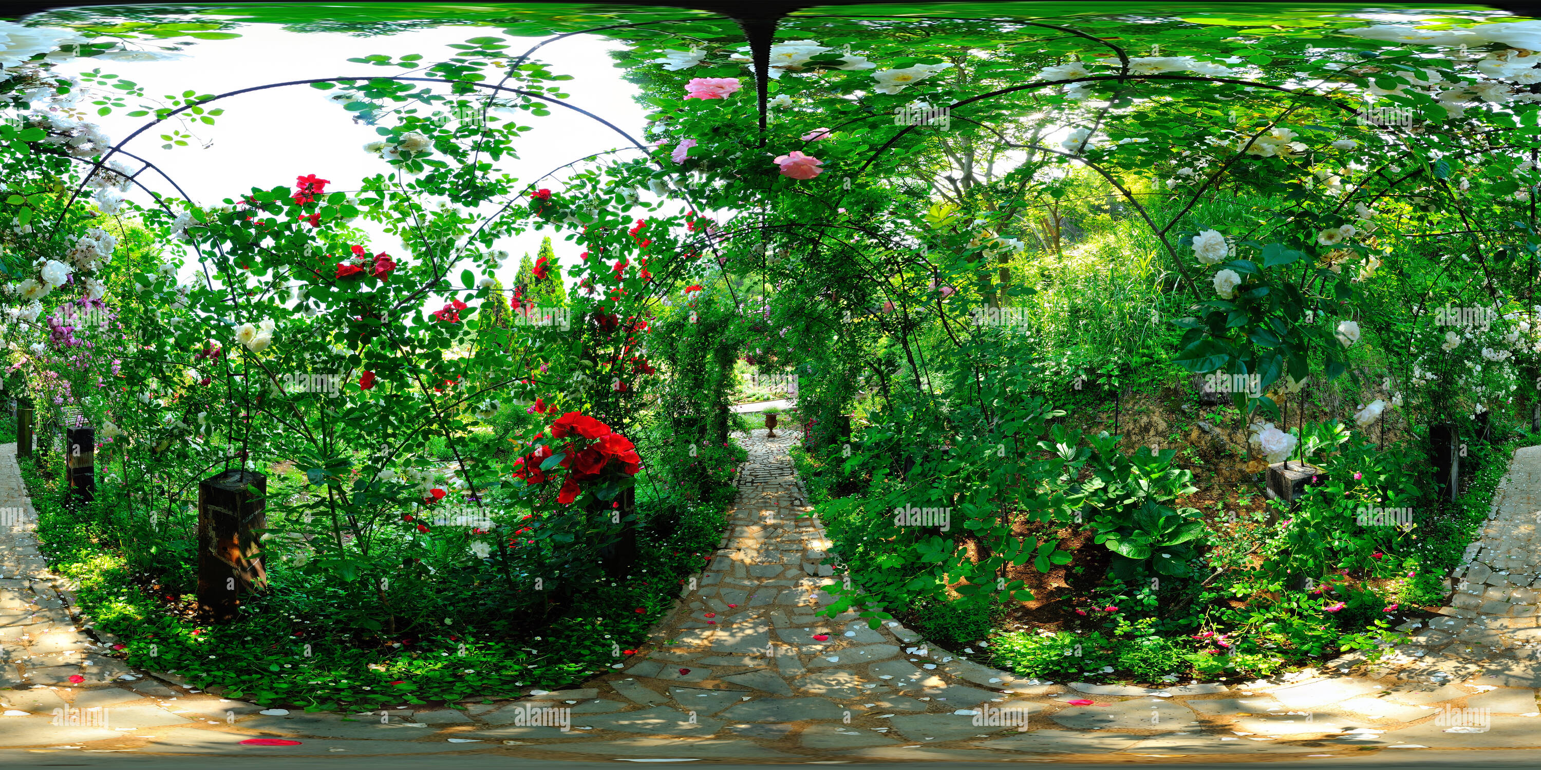 360° view of Akao herb and rose garden Part.2 - Alamy