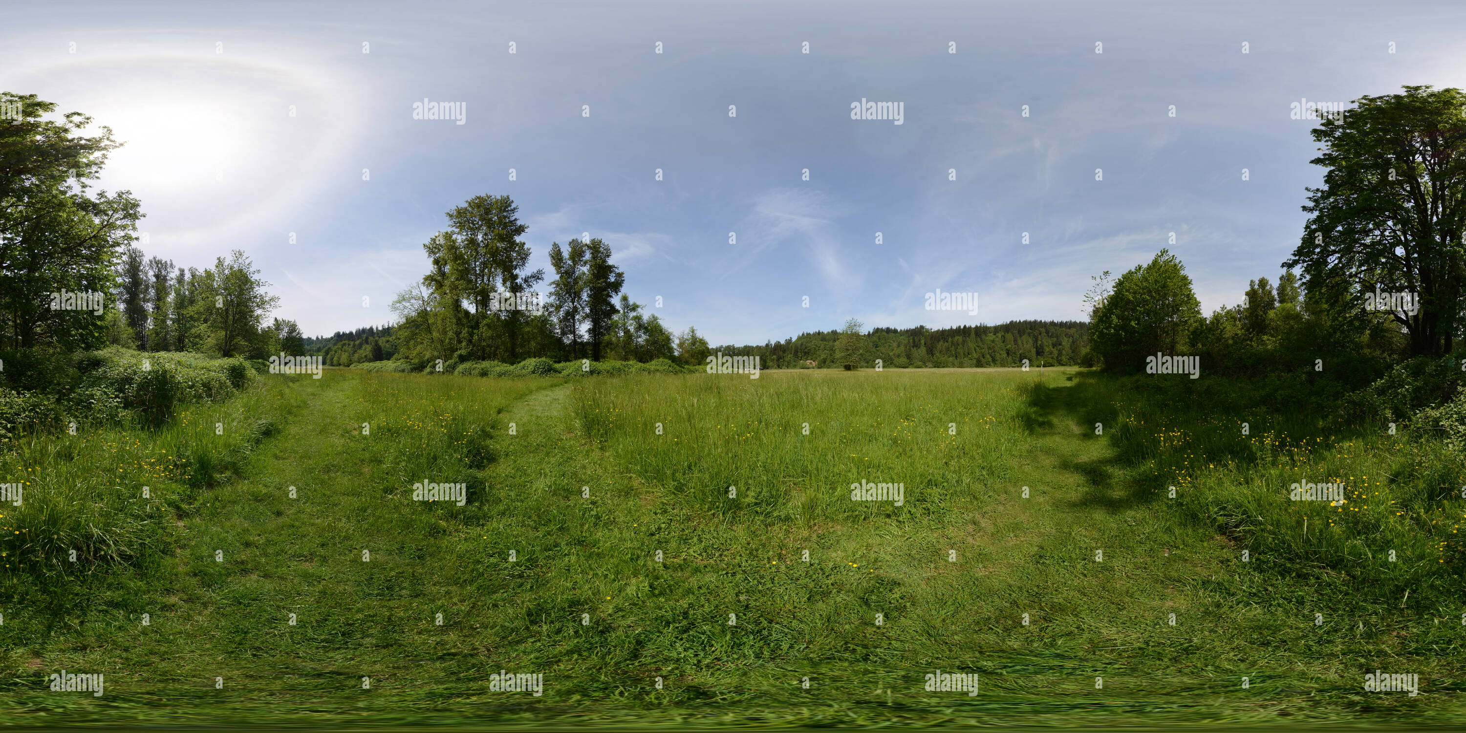 360° view of Flaming Geyser State Park, Washington State, USA - Alamy