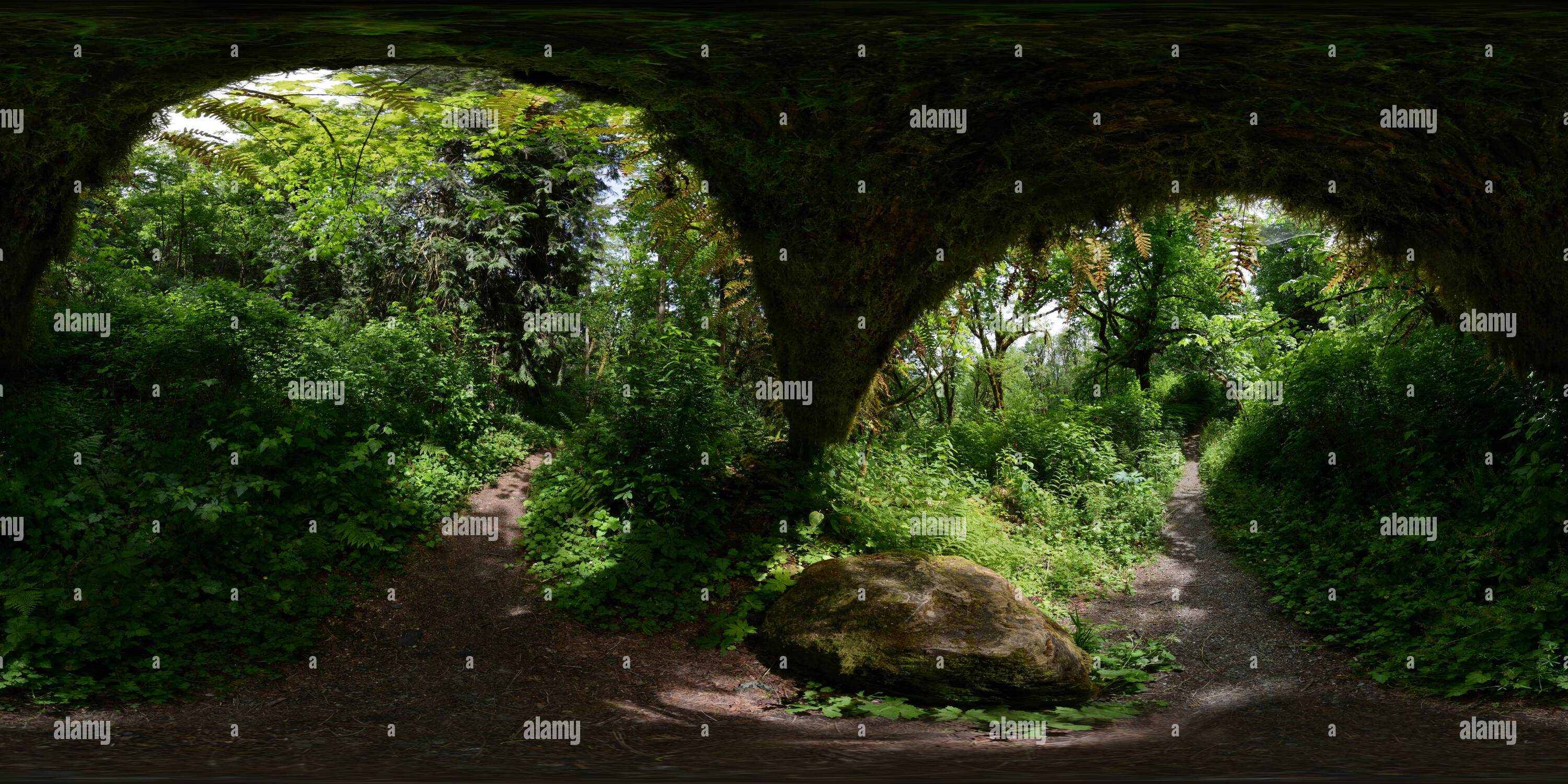 360° view of Ridge Trail - Flaming Geyser State Park, Washington State ...