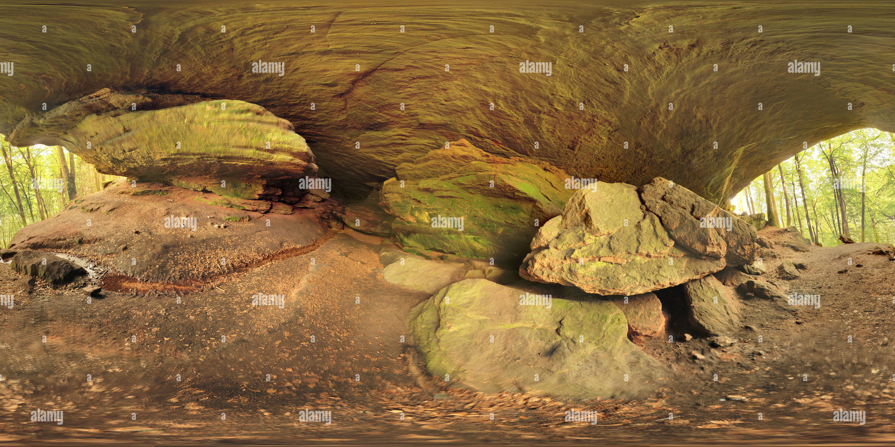 Rodalben hi-res stock photography and images - Alamy