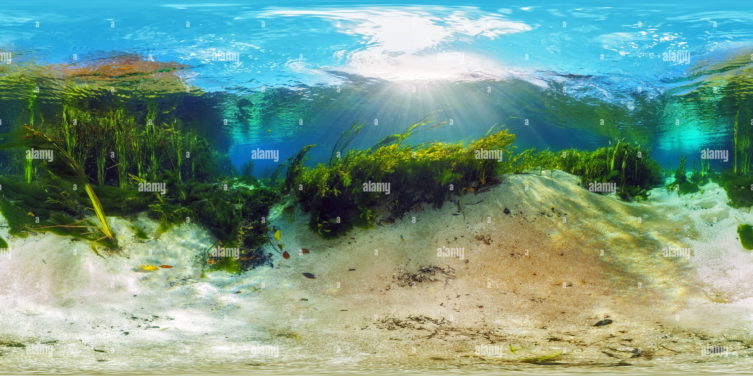 Sucuri River High Resolution Stock Photography and Images - Alamy