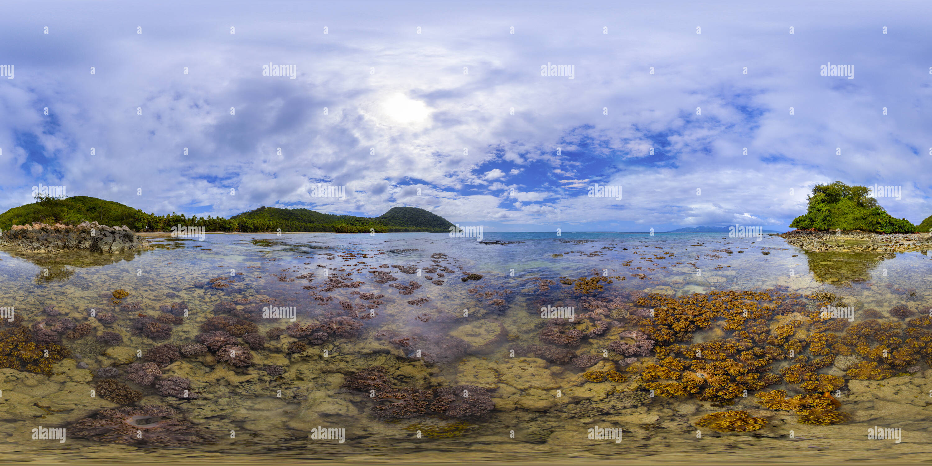 360° view of Leather corals in the tidepools of Naigani island - Alamy