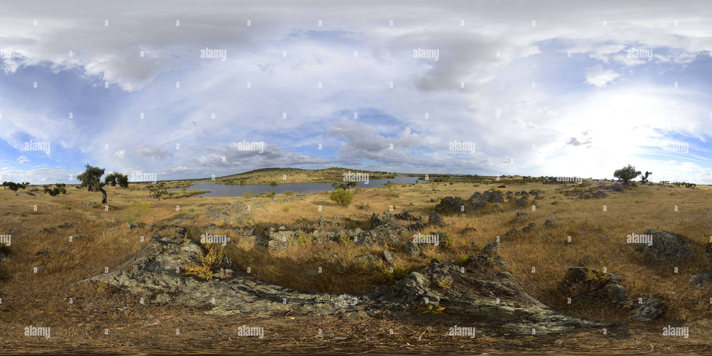 360° view of Swamp "Santa Ana" in Monroy. 250 mpx - Alamy