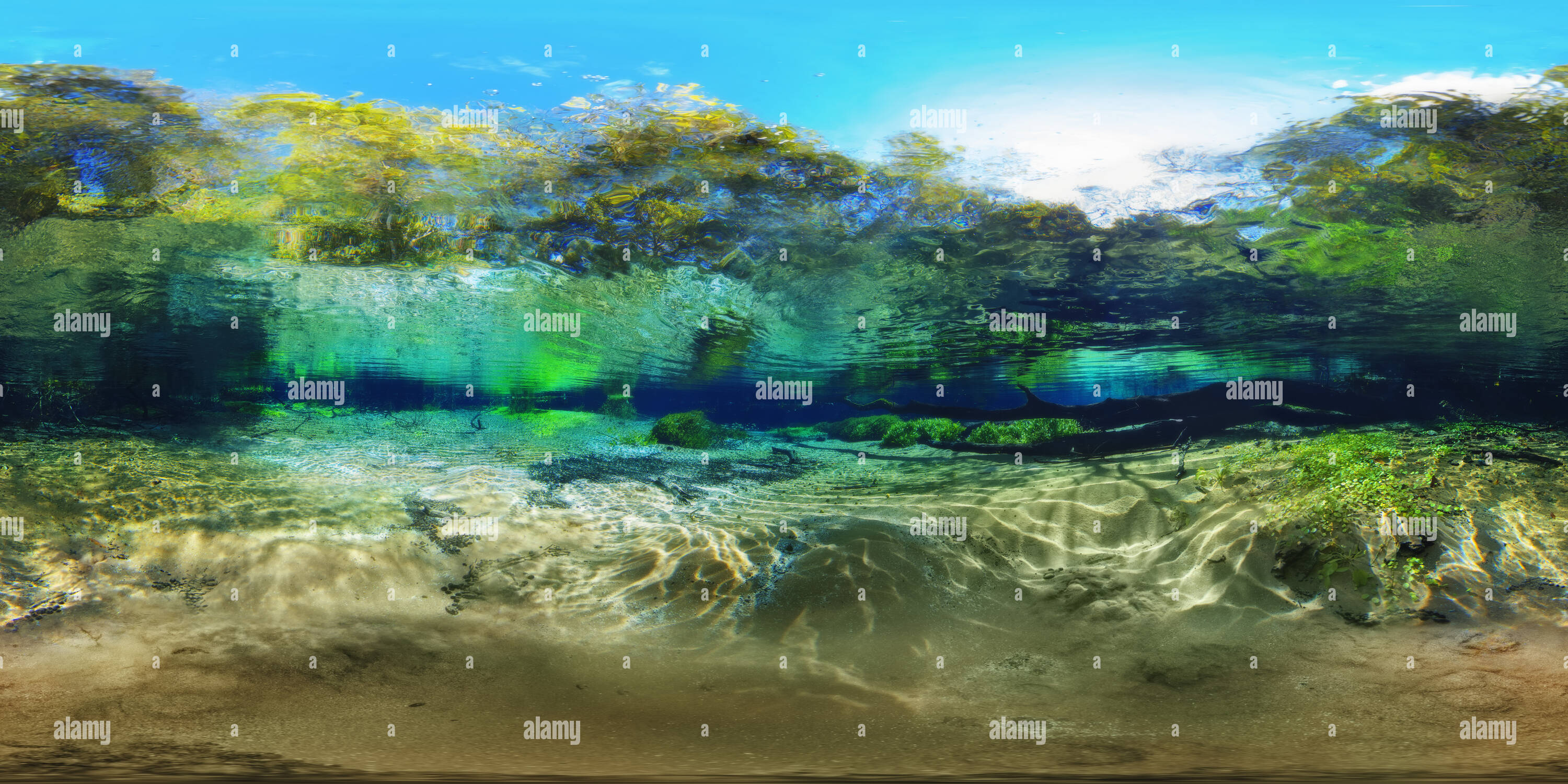 360° view of Sucuri River Water Spring - Alamy