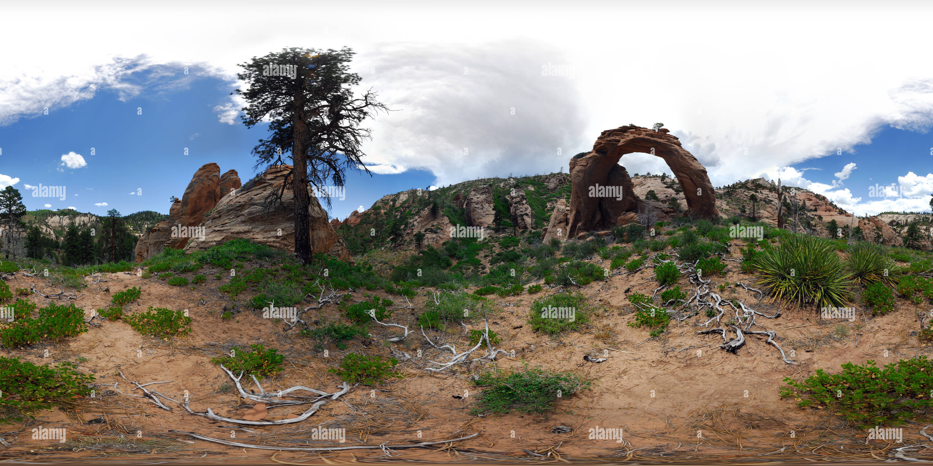 360° view of Causeway Deep Canyon Arch, south, Utah, USA - Alamy