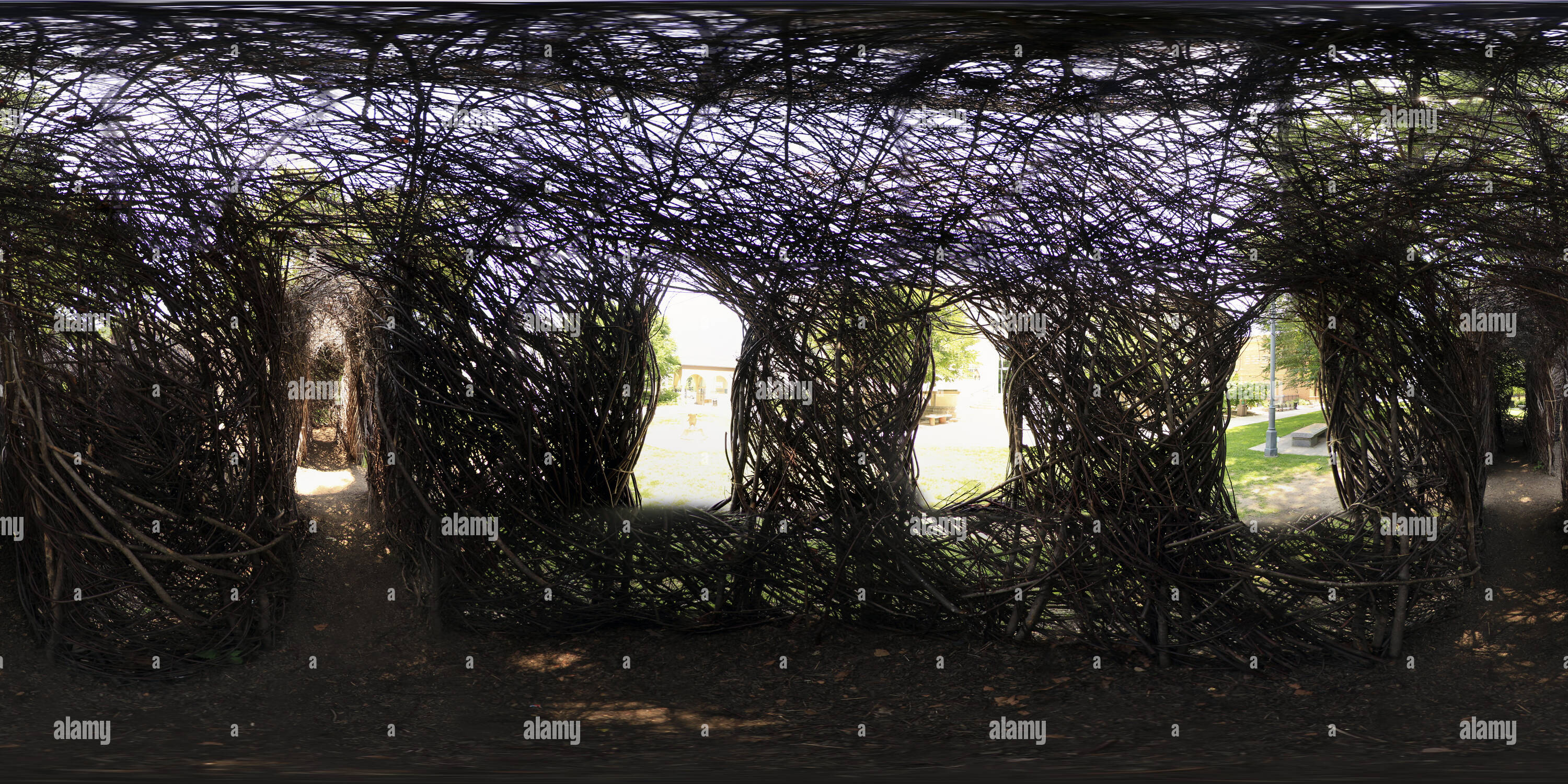 360° view of Scalpture garden in Springfield Museum - Alamy