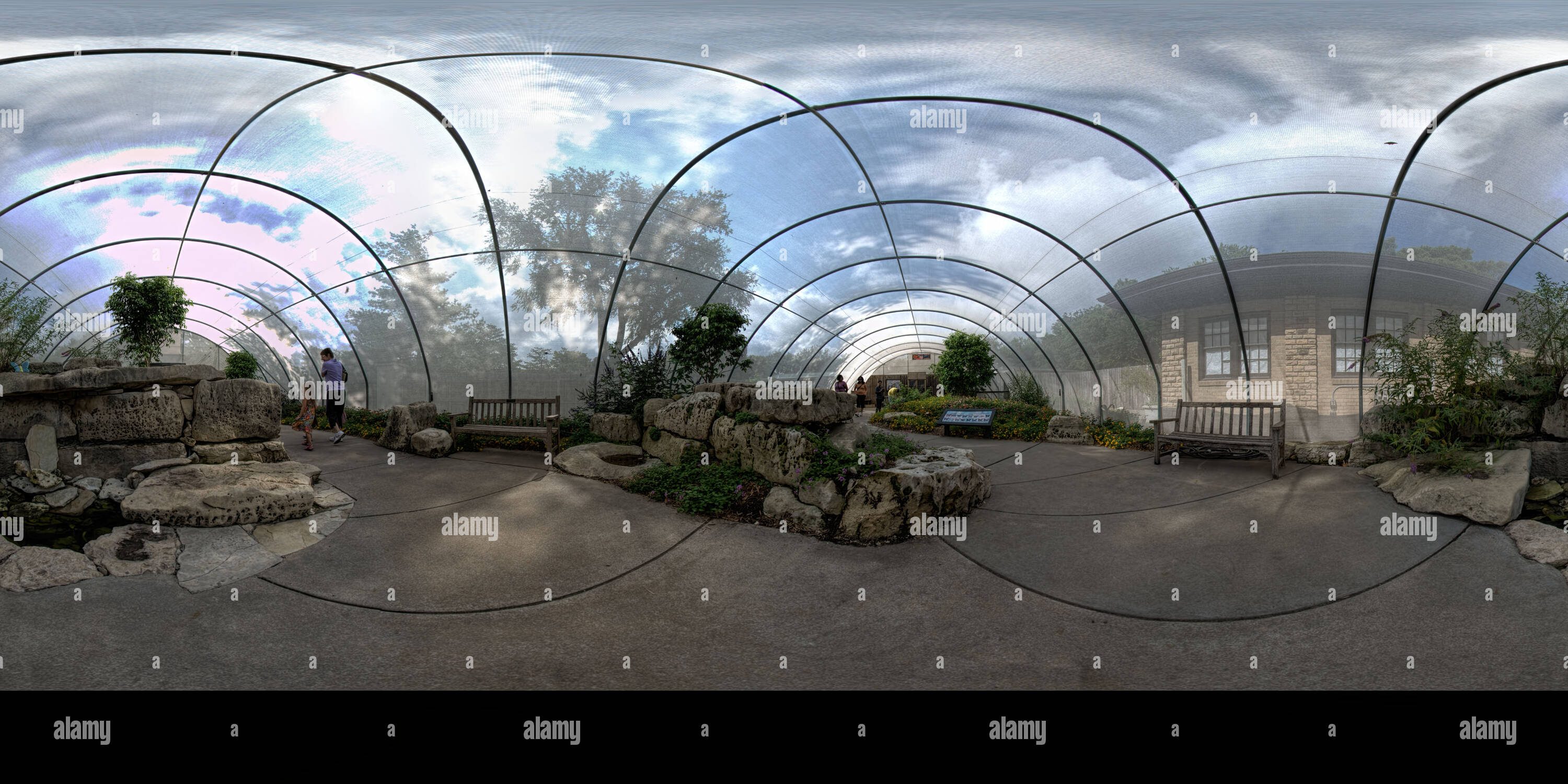 Botanica wichita hi-res stock photography and images - Alamy