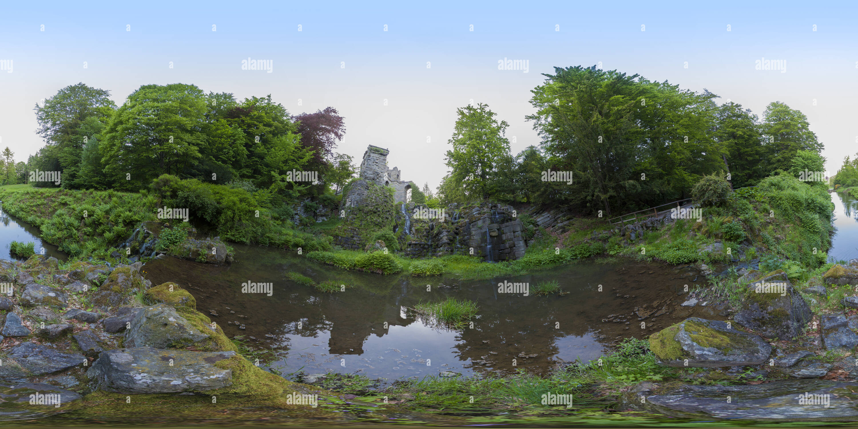 Peneus hi-res stock photography and images - Alamy