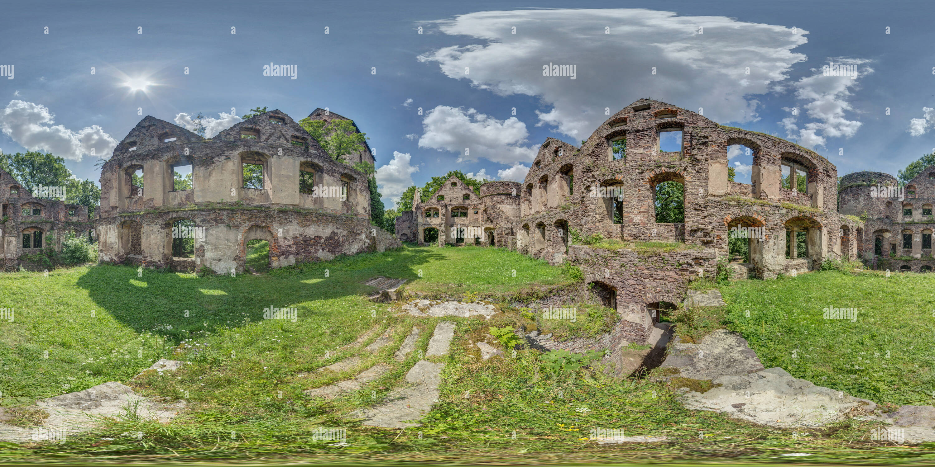 Swiny hi-res stock photography and images - Alamy