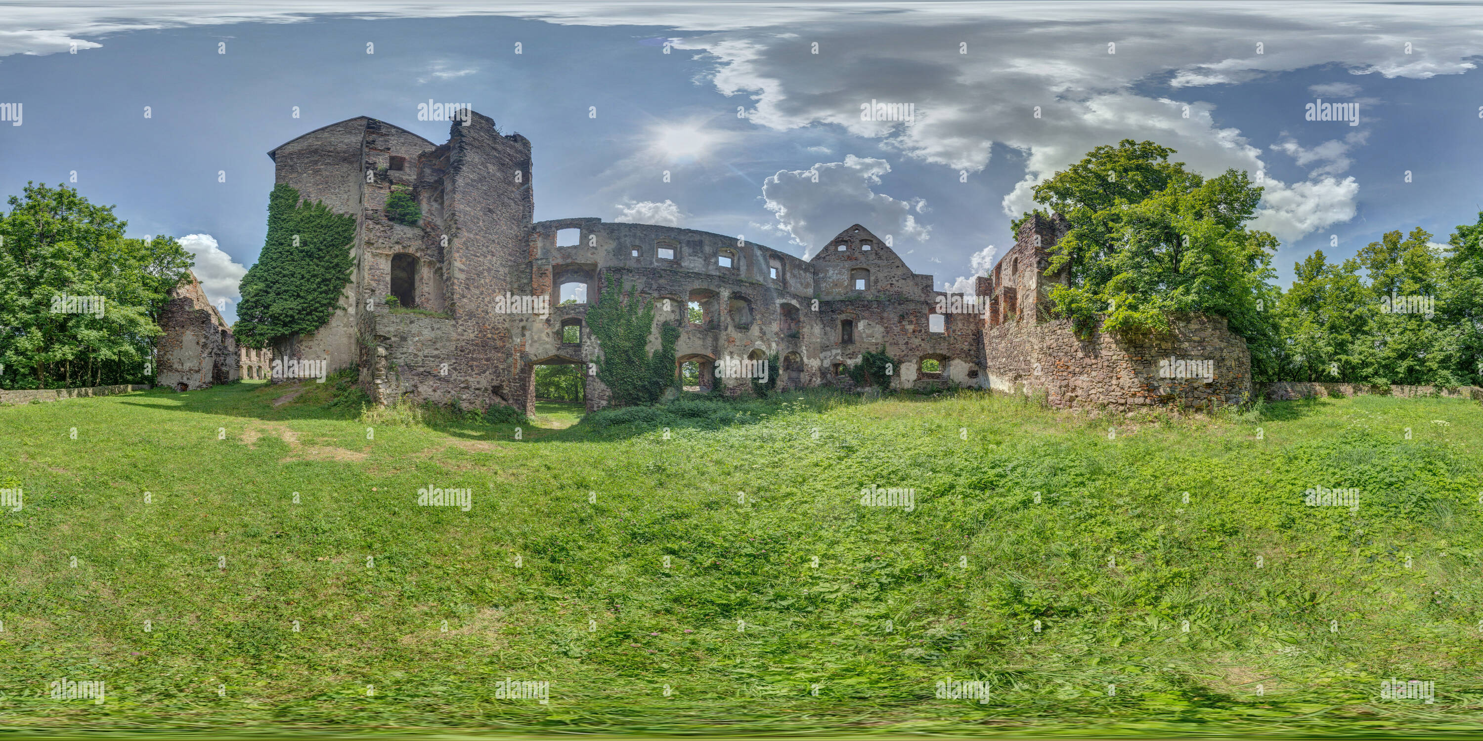 Swiny hi-res stock photography and images - Alamy