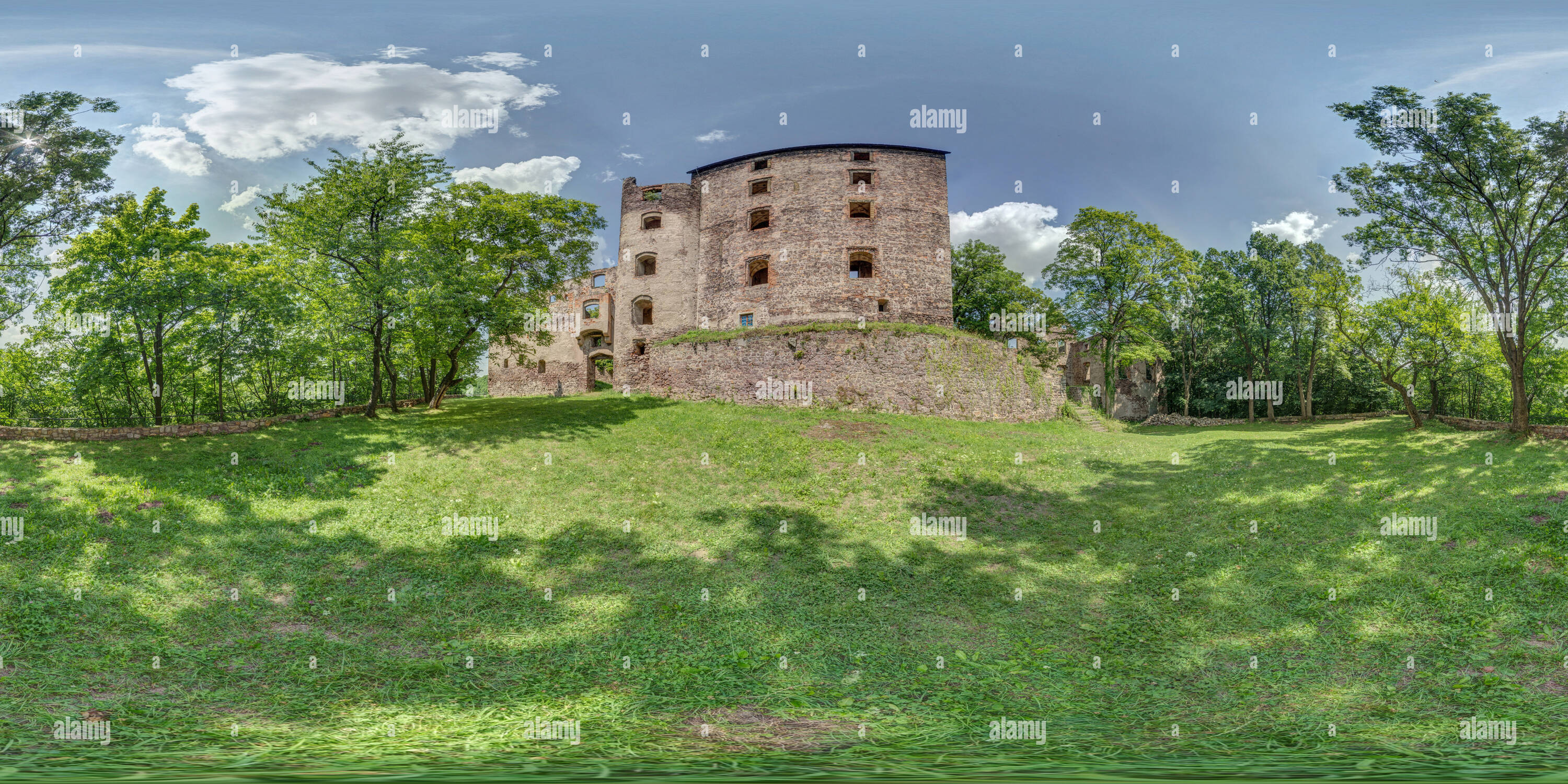 Swiny hi-res stock photography and images - Alamy