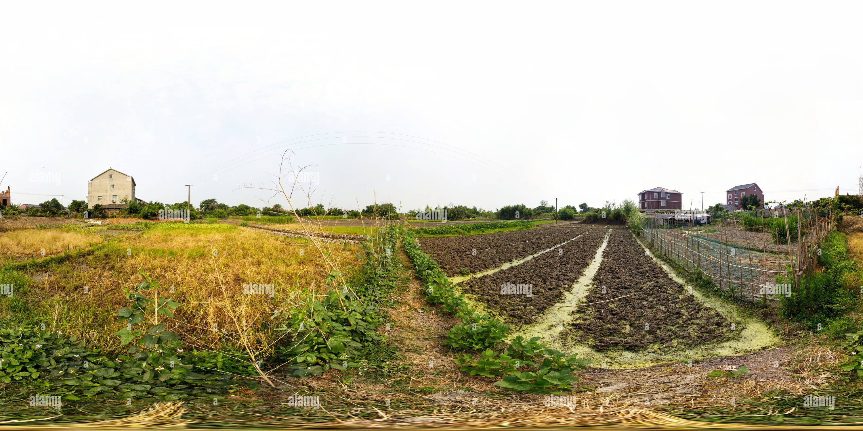 Dongtang hi-res stock photography and images - Alamy