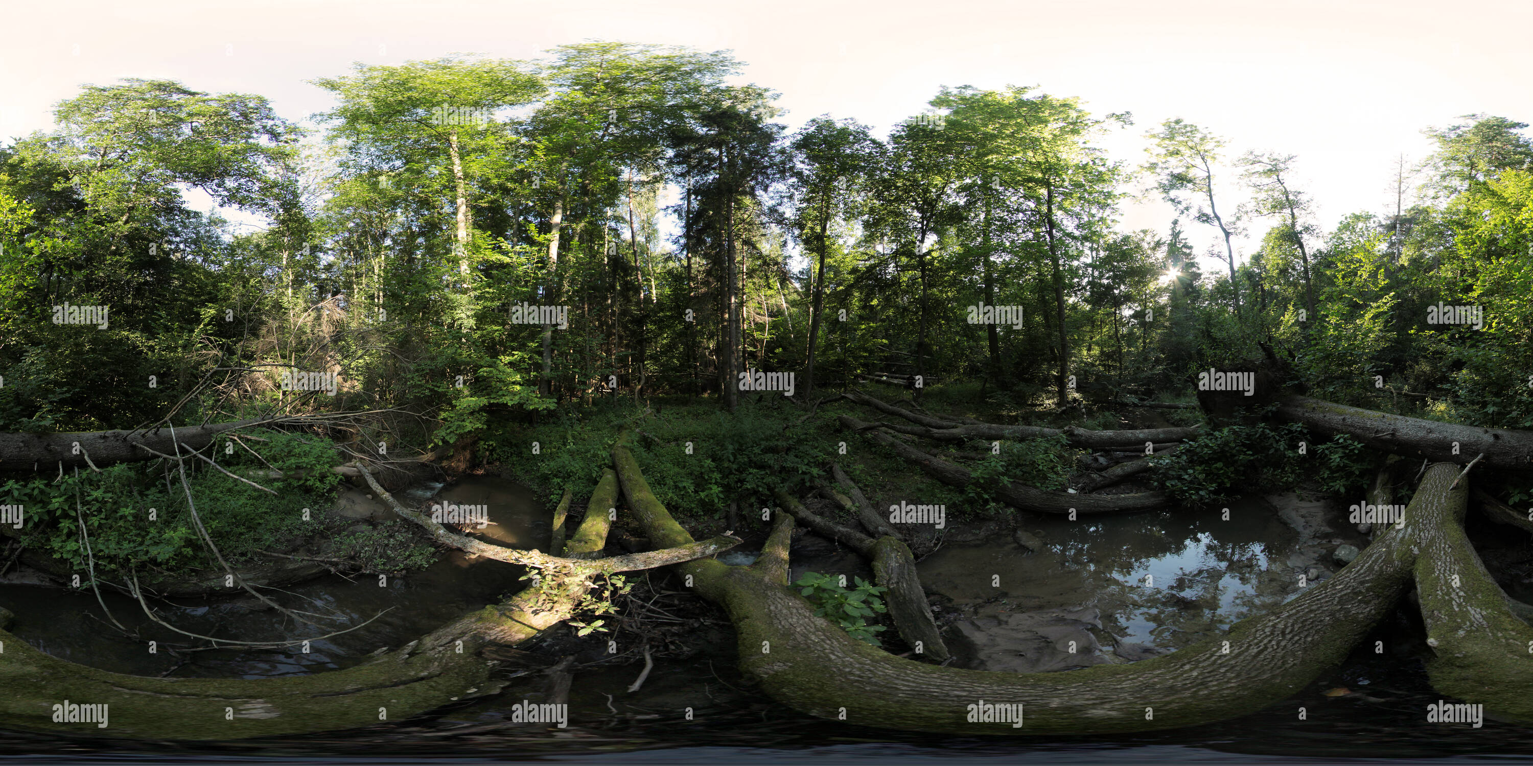 360° view of The Wild Kacza river - Alamy