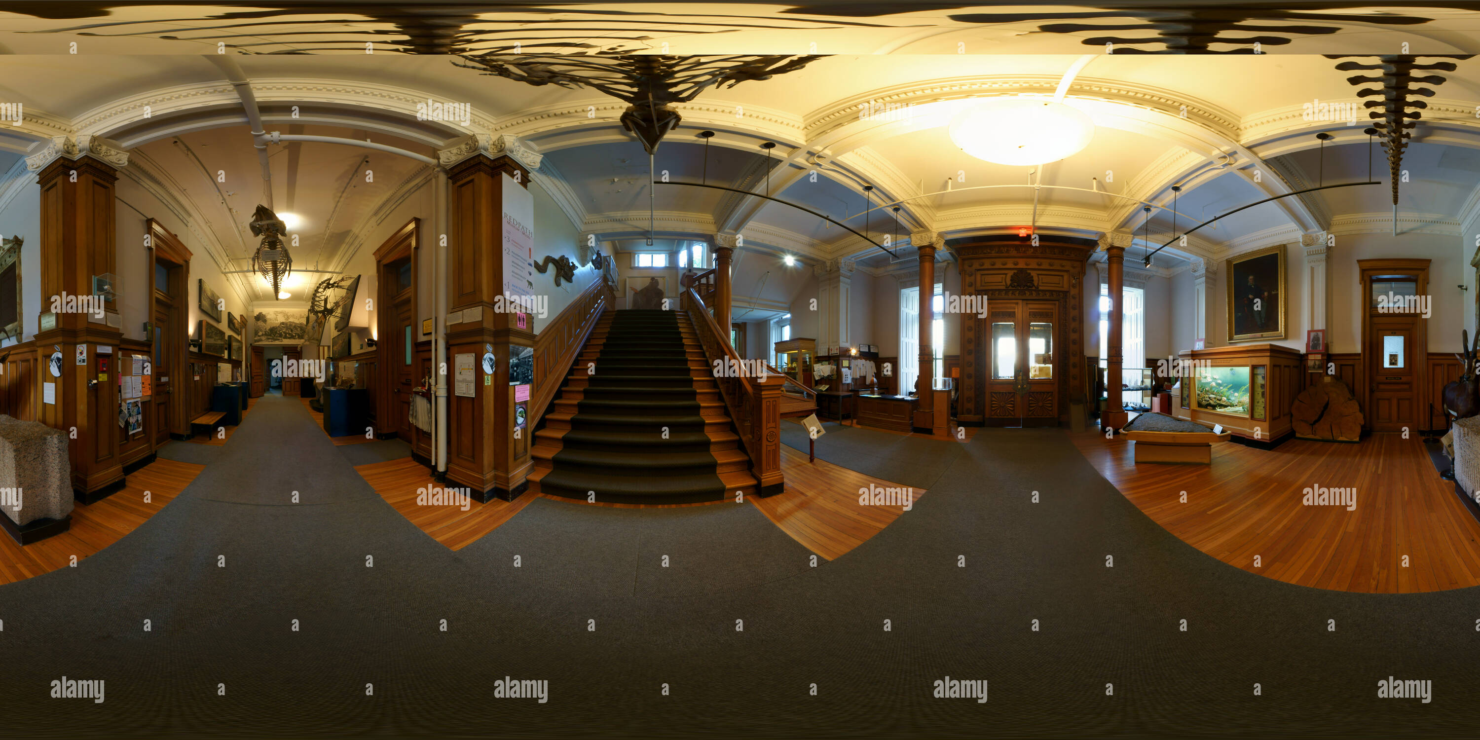 Redpath museum hi-res stock photography and images - Alamy