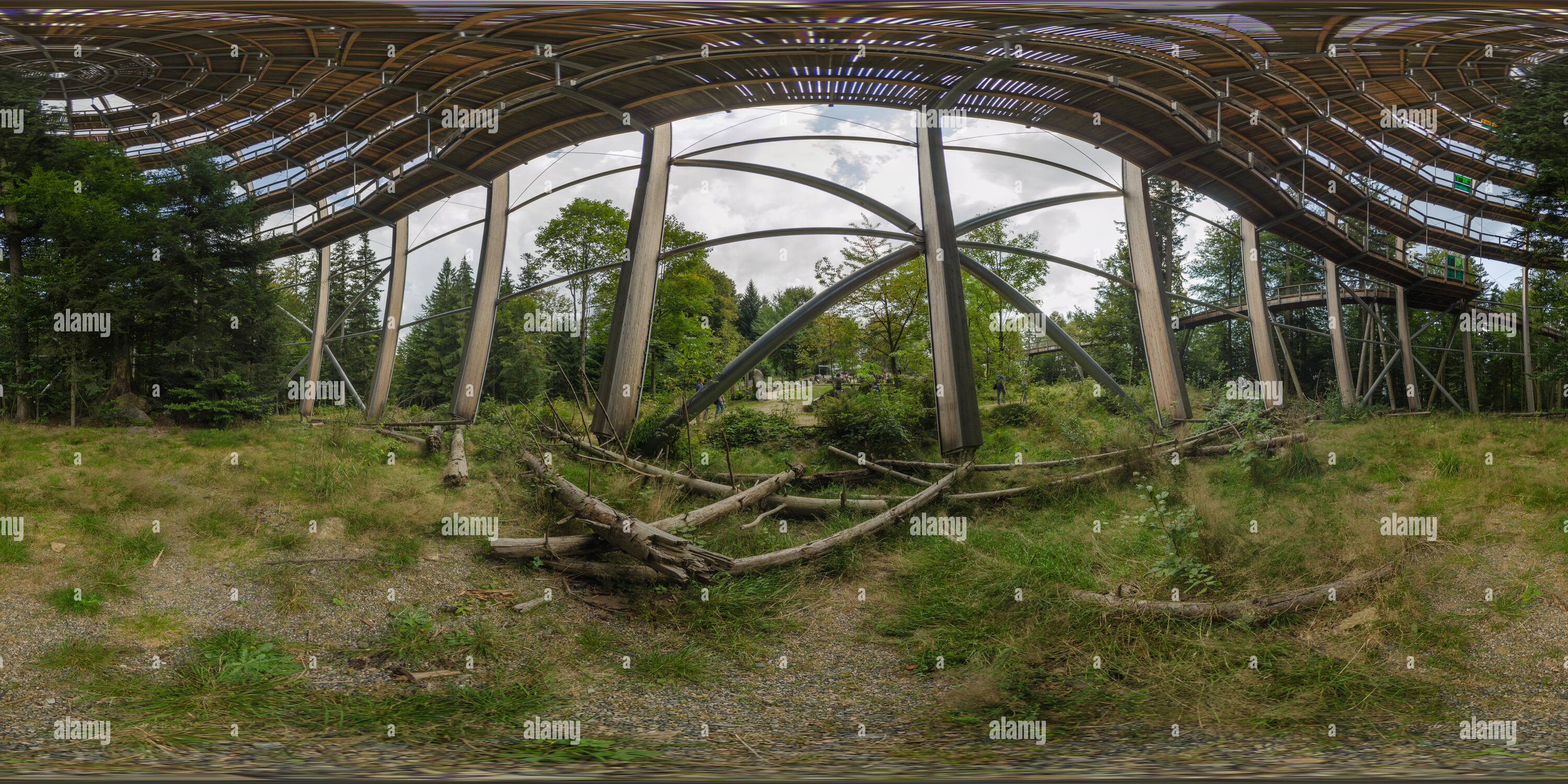 360° view of Tree Top Walk in the Bavarian Forest - Tower from the ...