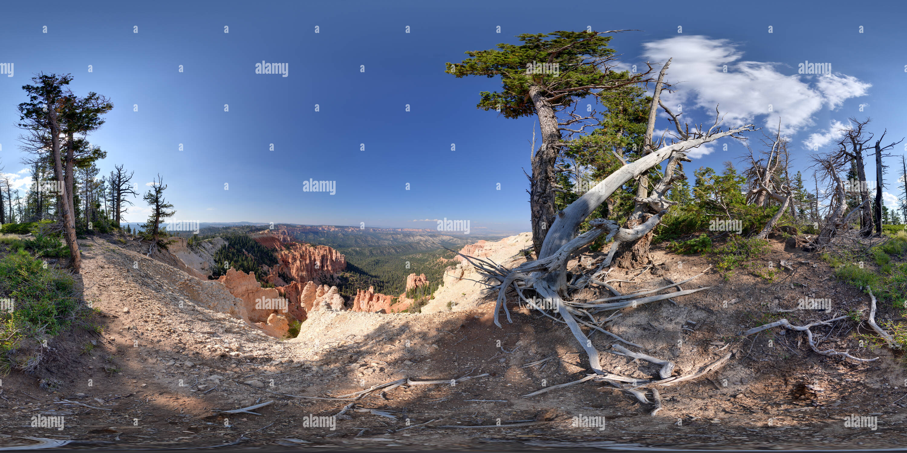 360° view of Rainbow Point, Bryce Canyon - Alamy