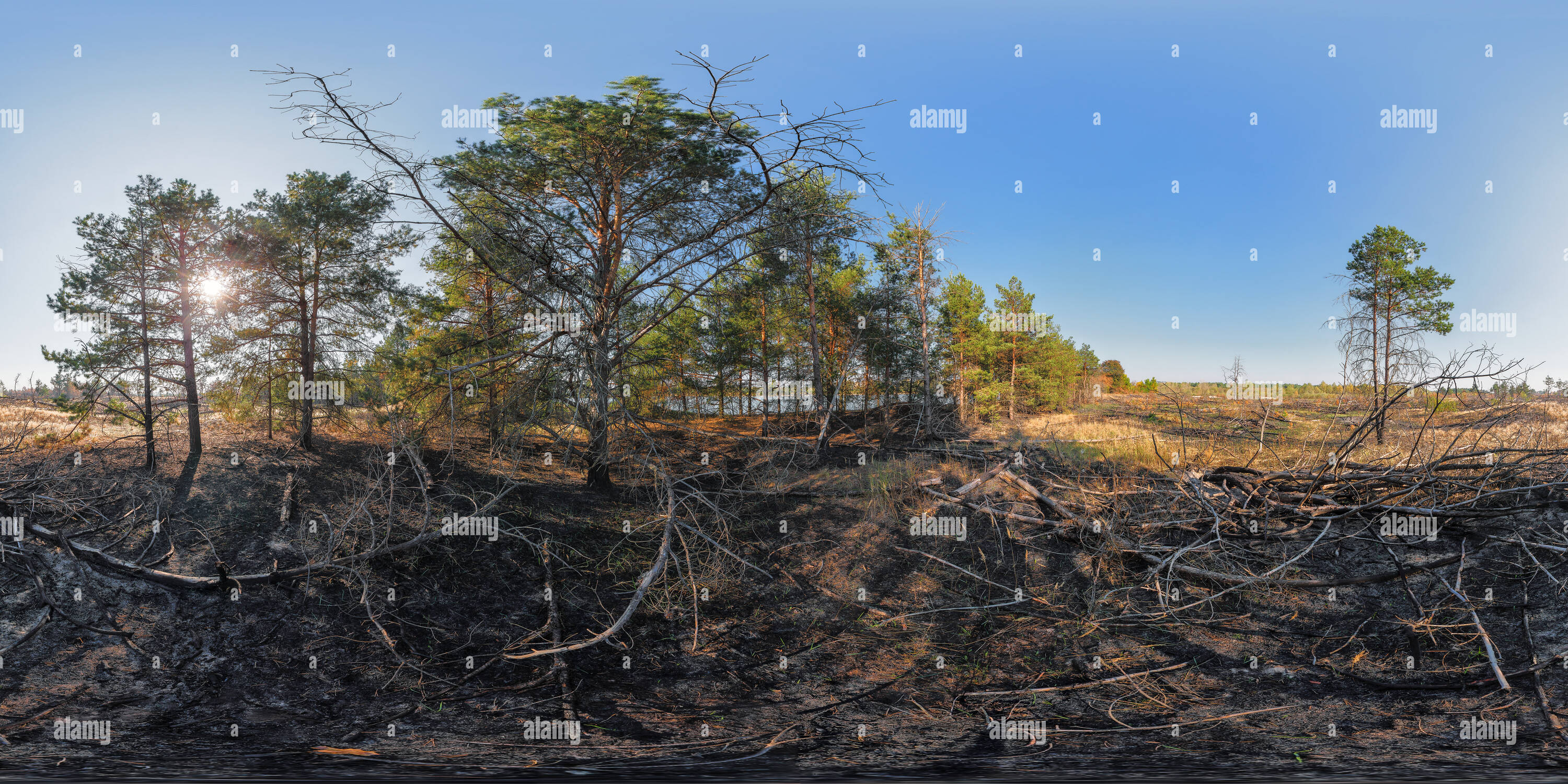 360° view of A trace of the fire - Alamy