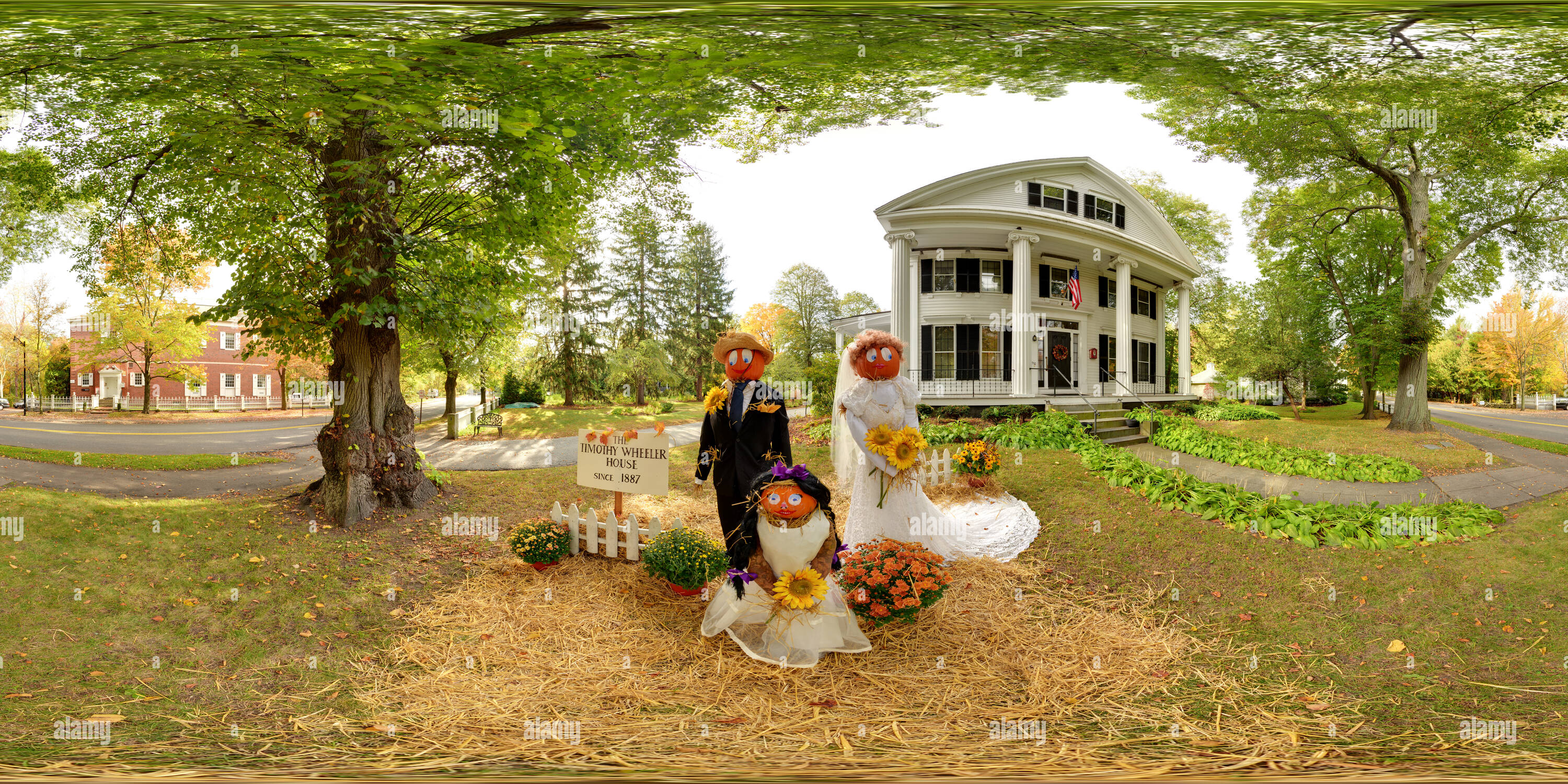 Timothy wheeler hi-res stock photography and images - Alamy