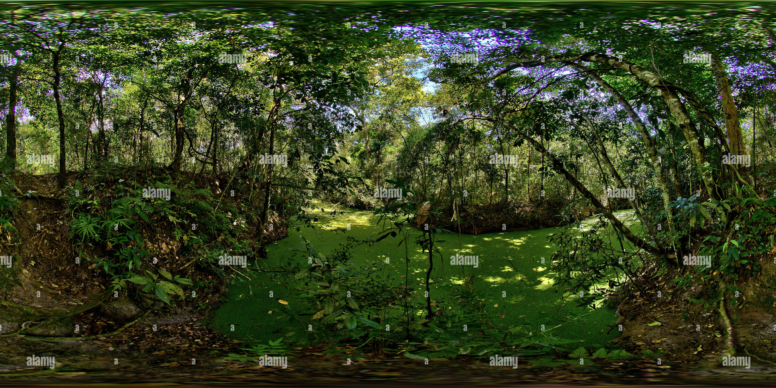 360° view of Green Lagoon - Morro do Diabo - Alamy