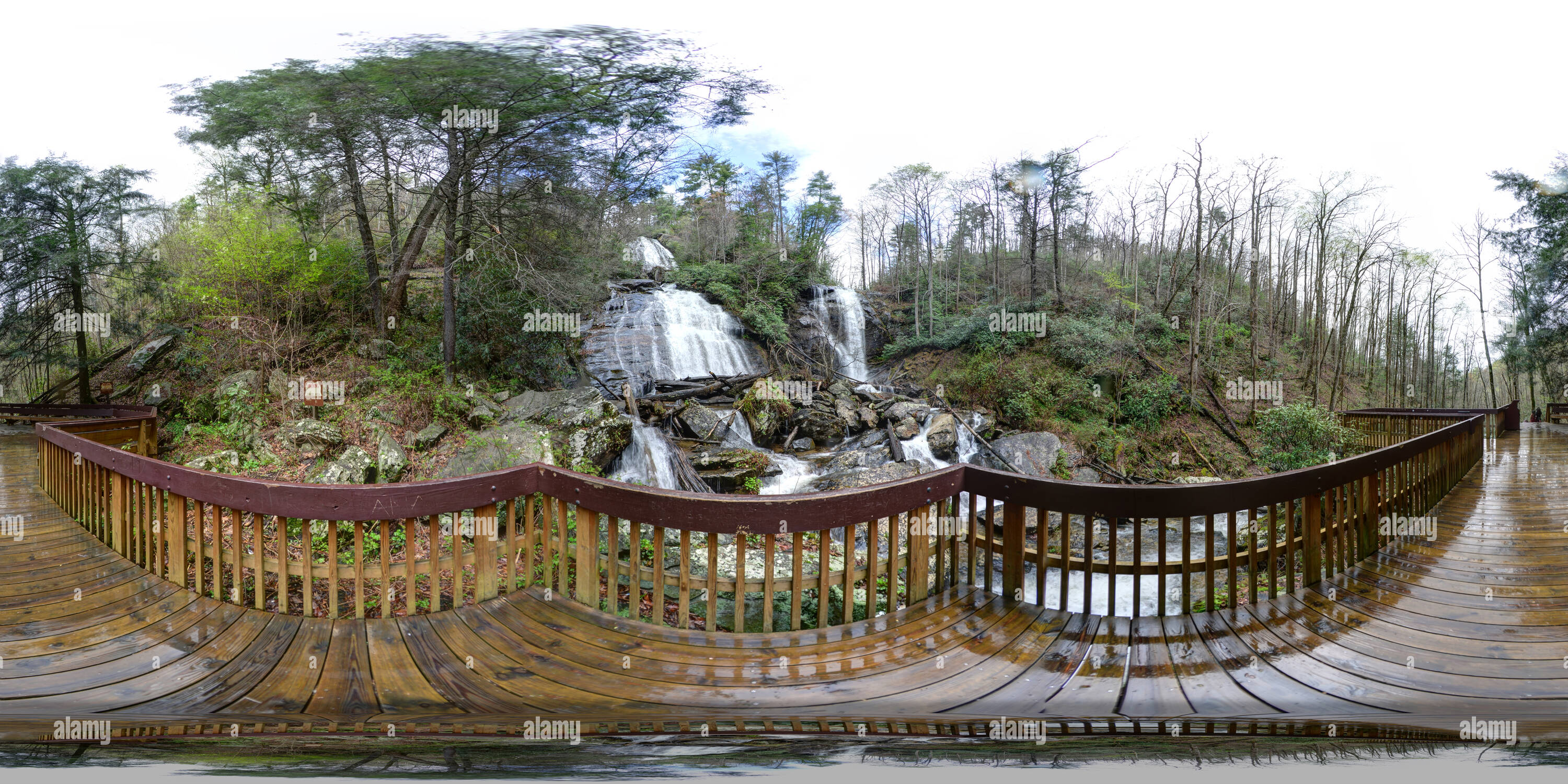 360° view of Anna Ruby Falls 4 - Alamy