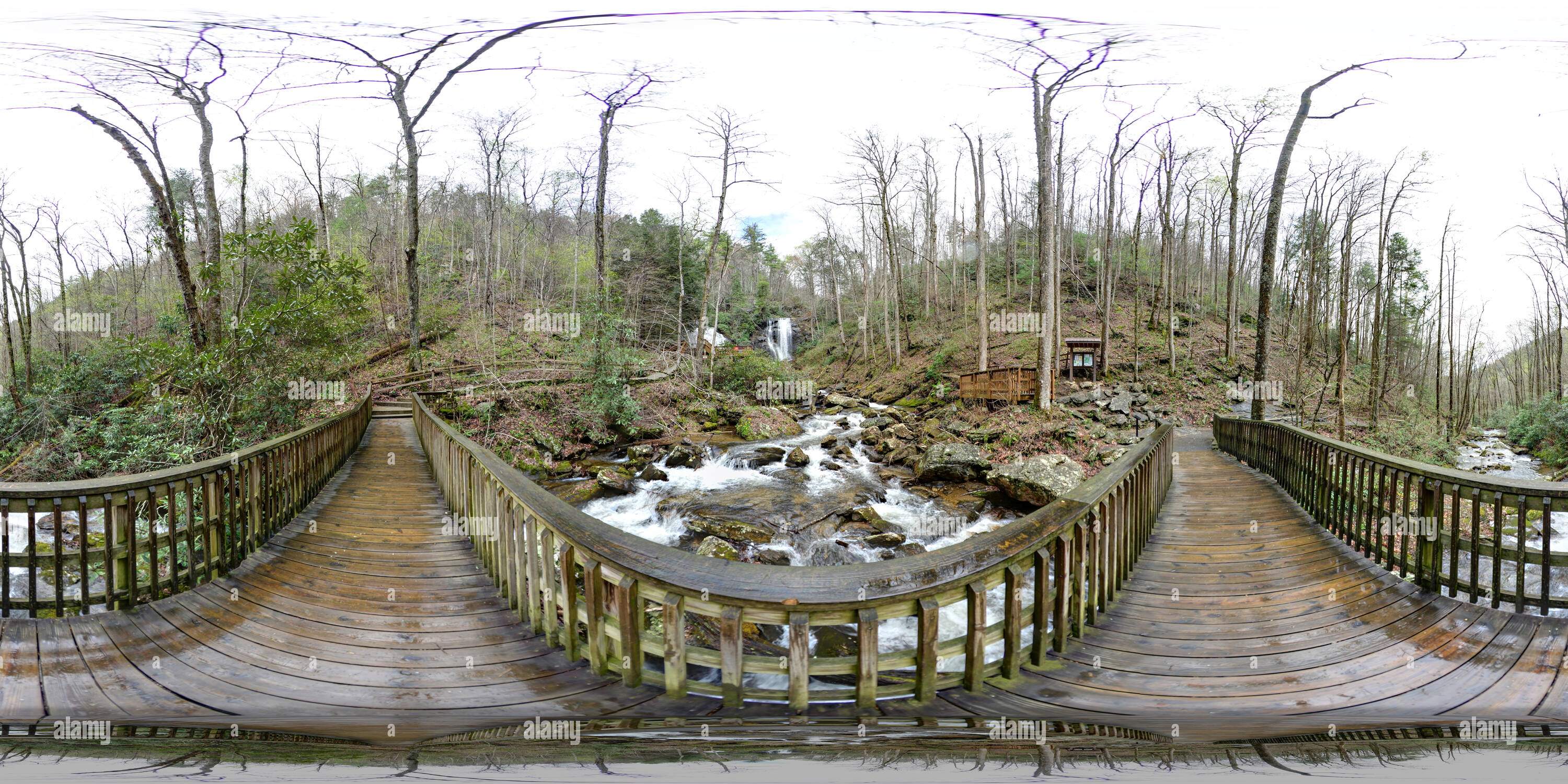 360° view of Anna Ruby Falls 3 - Alamy