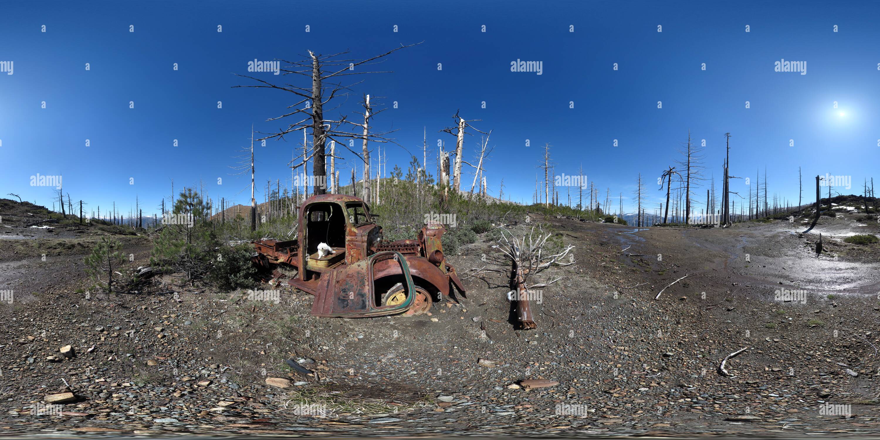 Chetco pass hi-res stock photography and images - Alamy