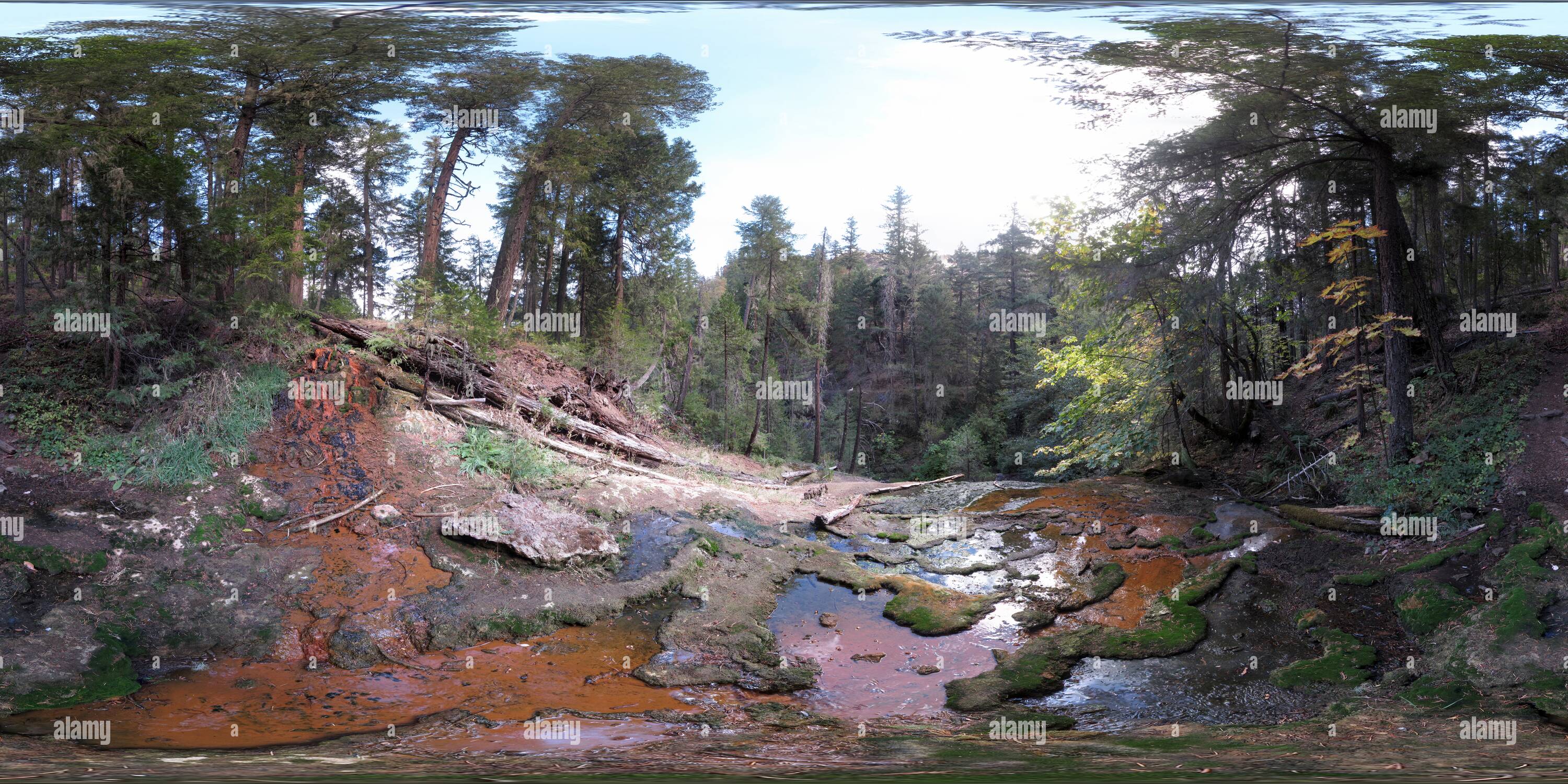 Dead indian soda springs hi-res stock photography and images - Alamy