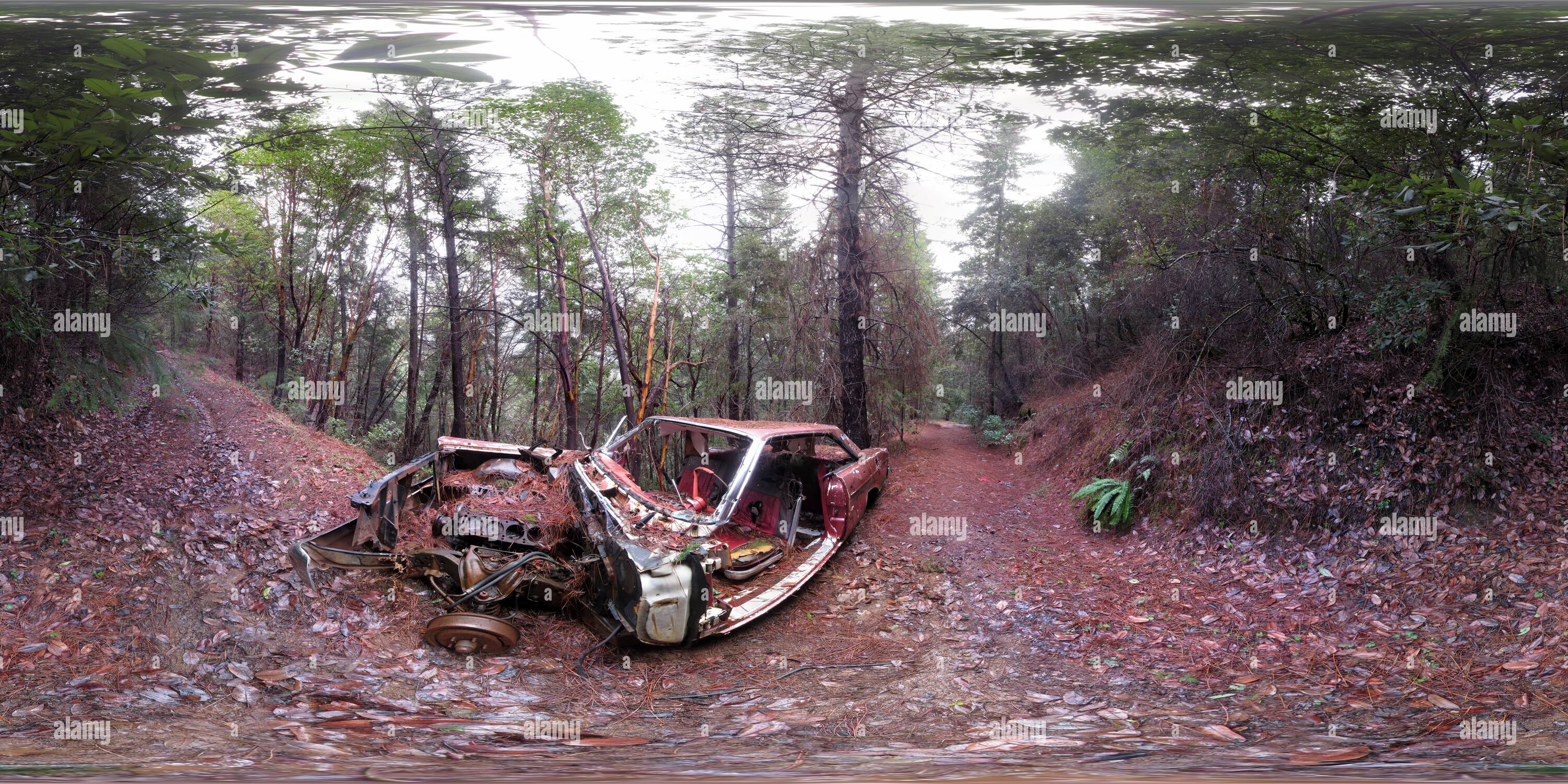 360° view of Trashed Ford Galaxie [1] - Alamy