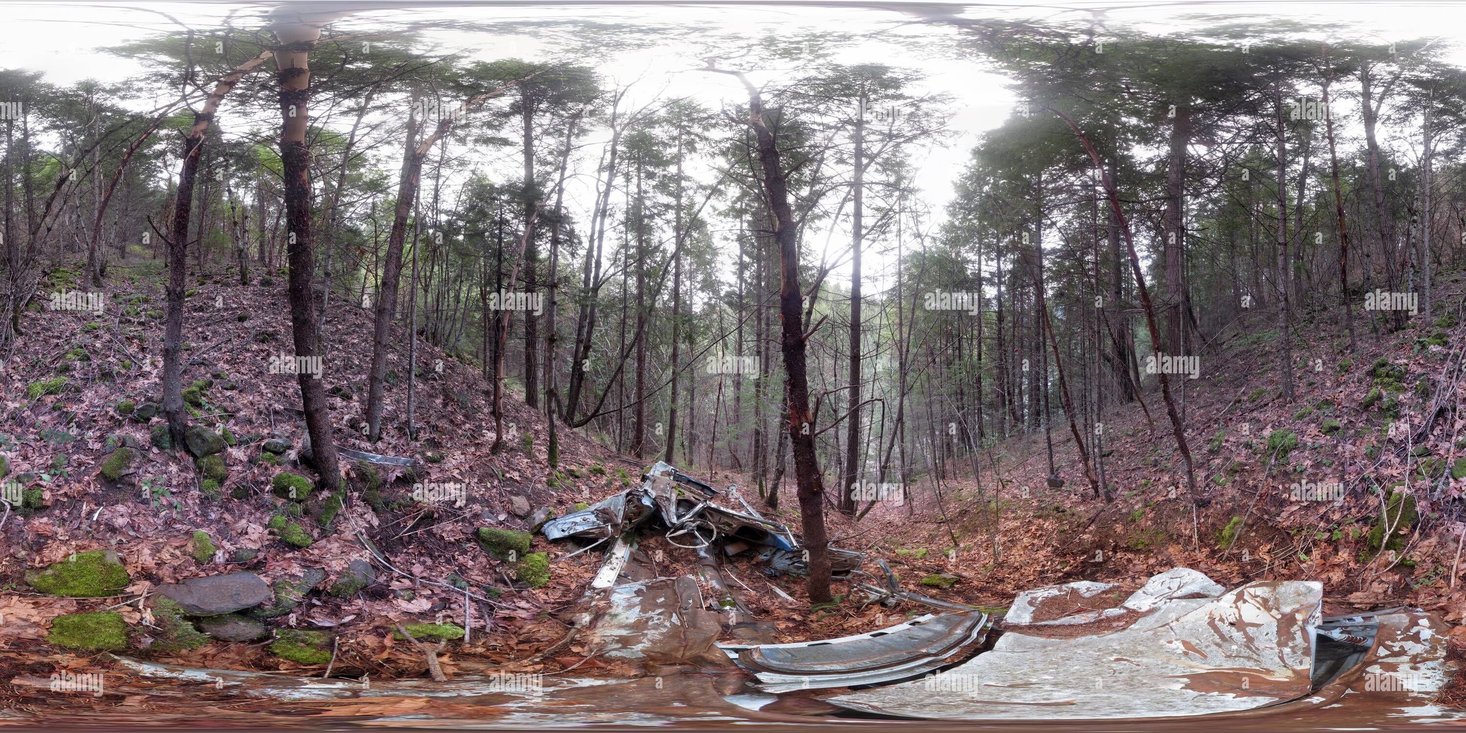 360° view of Trashed Ford Thunderbird [1] - Alamy